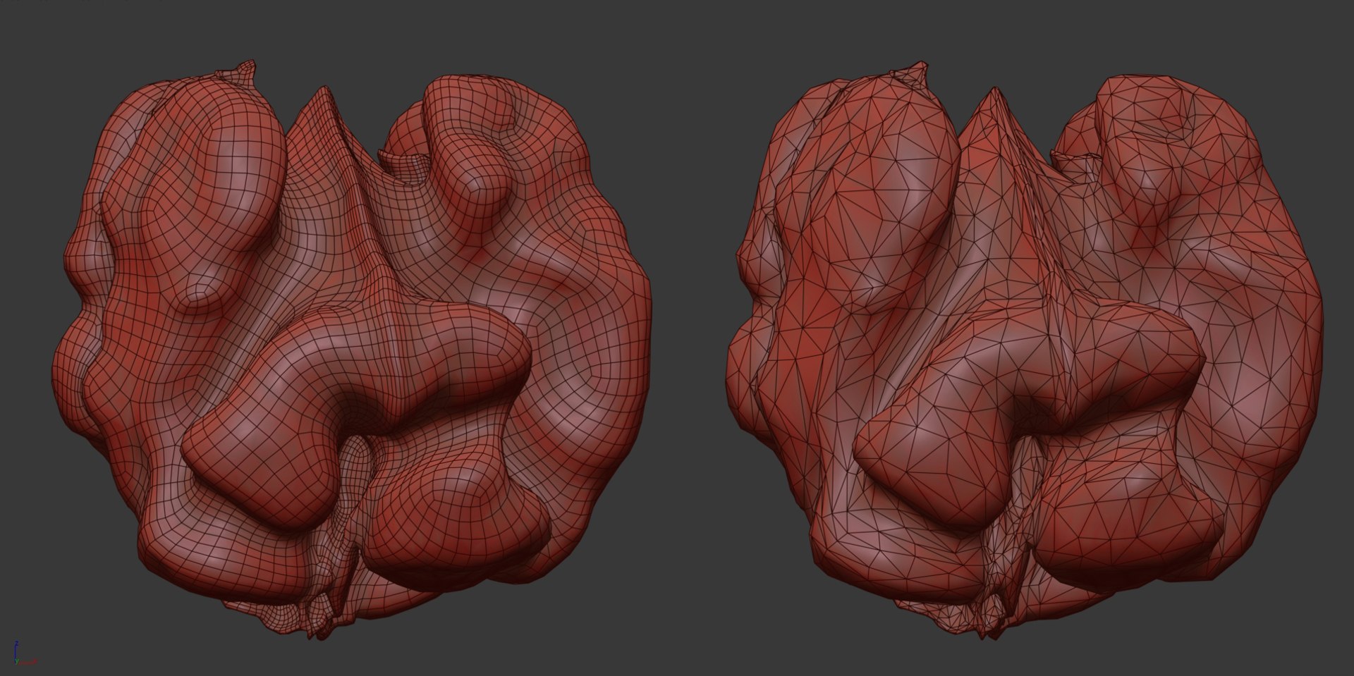 3D Model Walnuts Set - TurboSquid 1976493