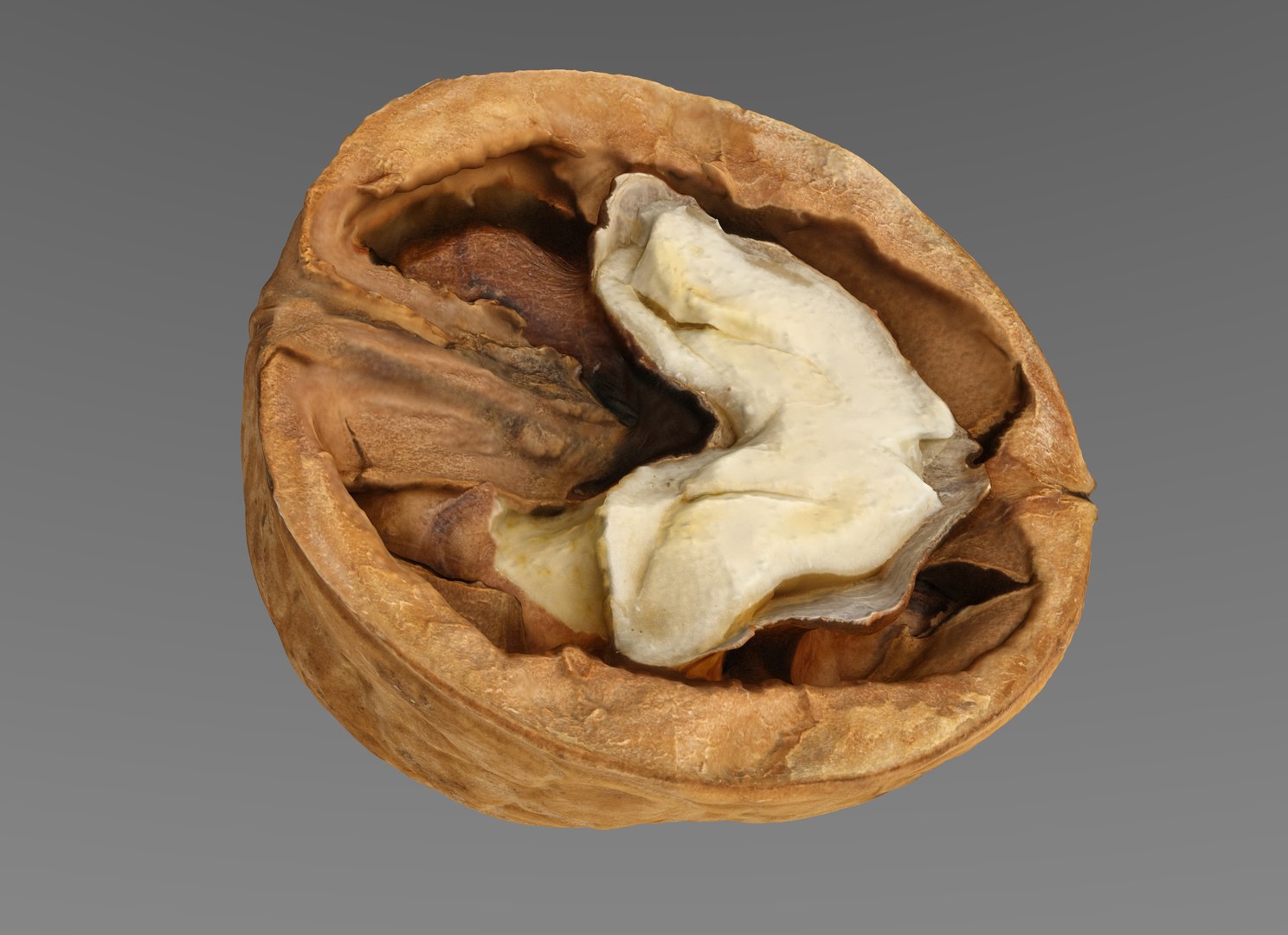 3D Model Walnuts Set - TurboSquid 1976493