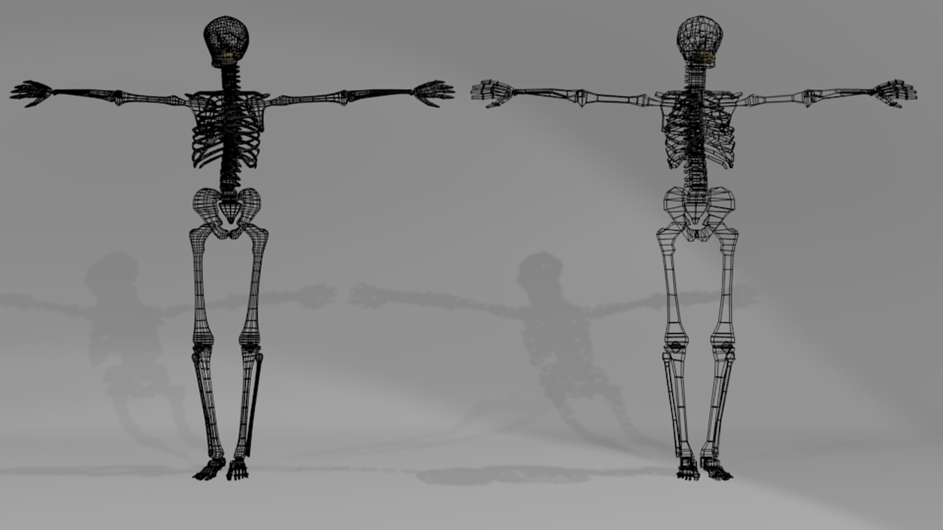 Free 3ds Mode Skelton