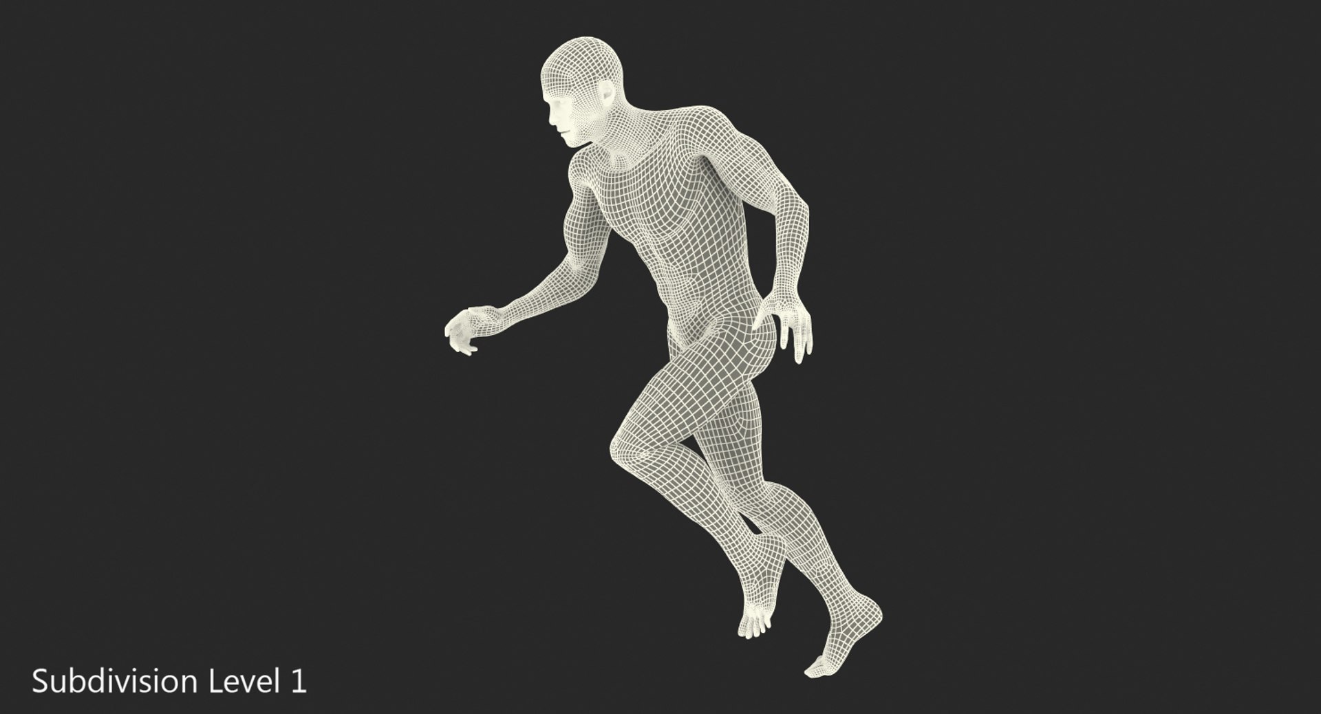 3D Running Man Muscles Anatomy - TurboSquid 1236288