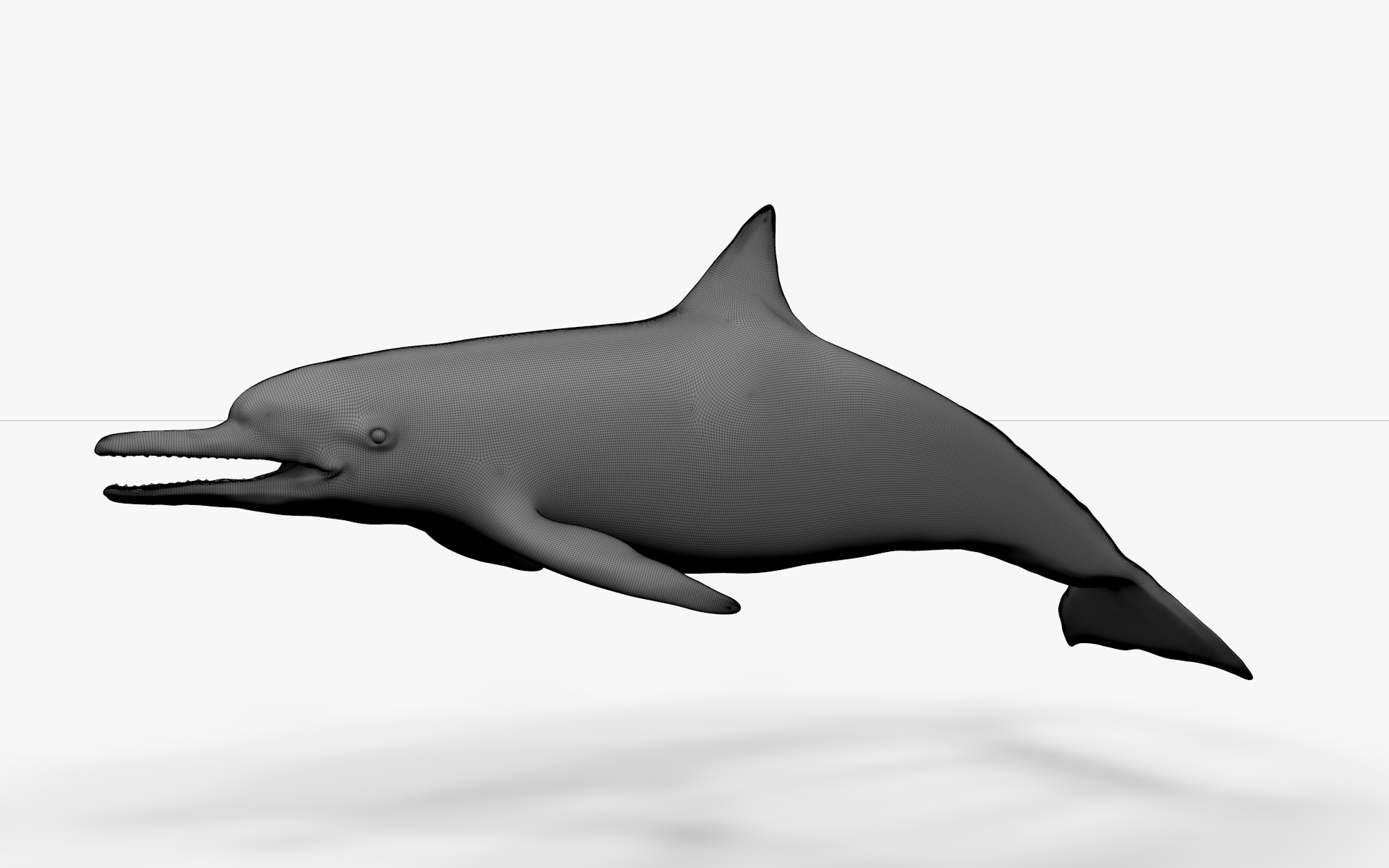 3D model dolphin rigged - TurboSquid 1622197