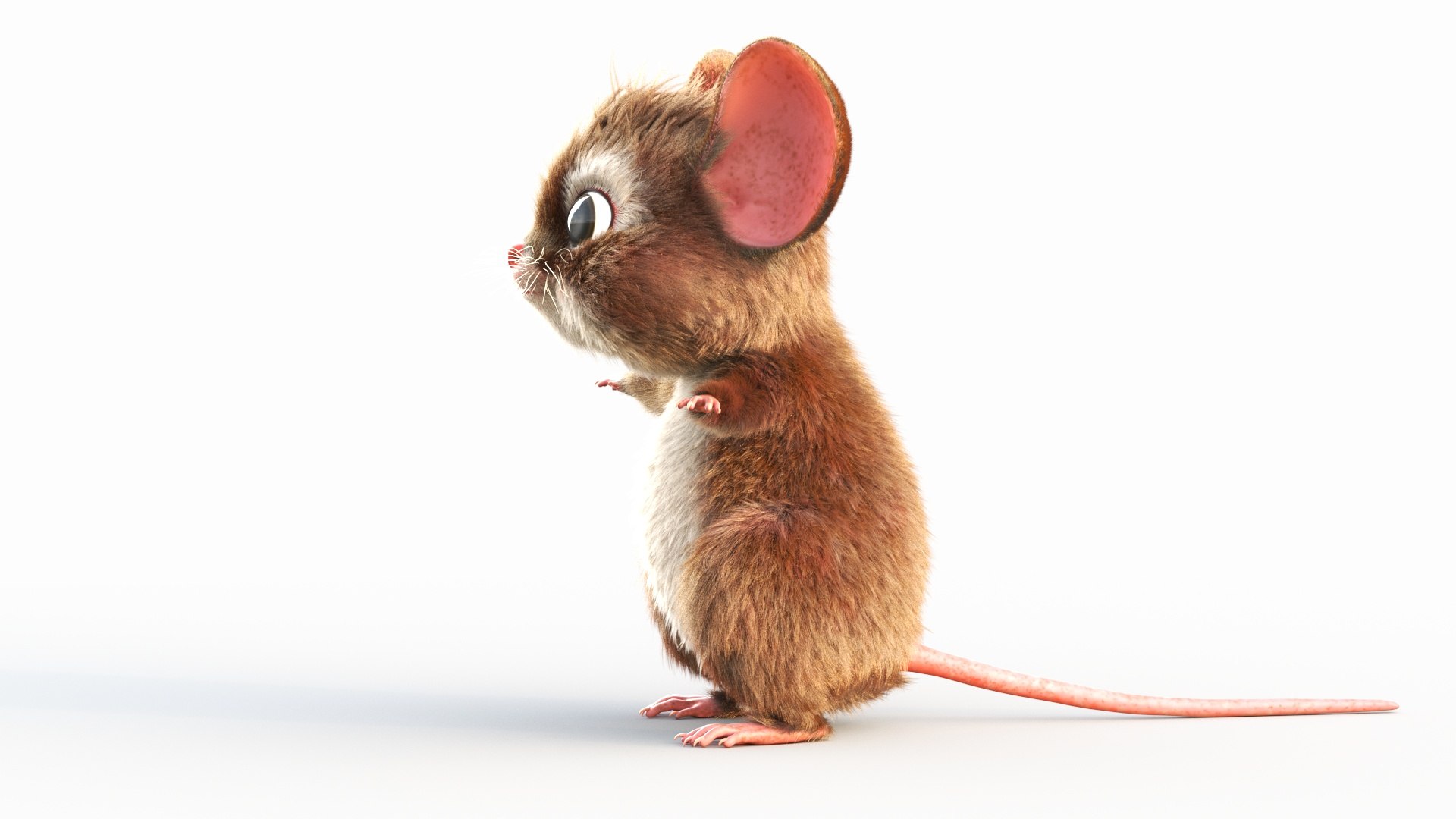 3D Cartoon Mouse - TurboSquid 2276571