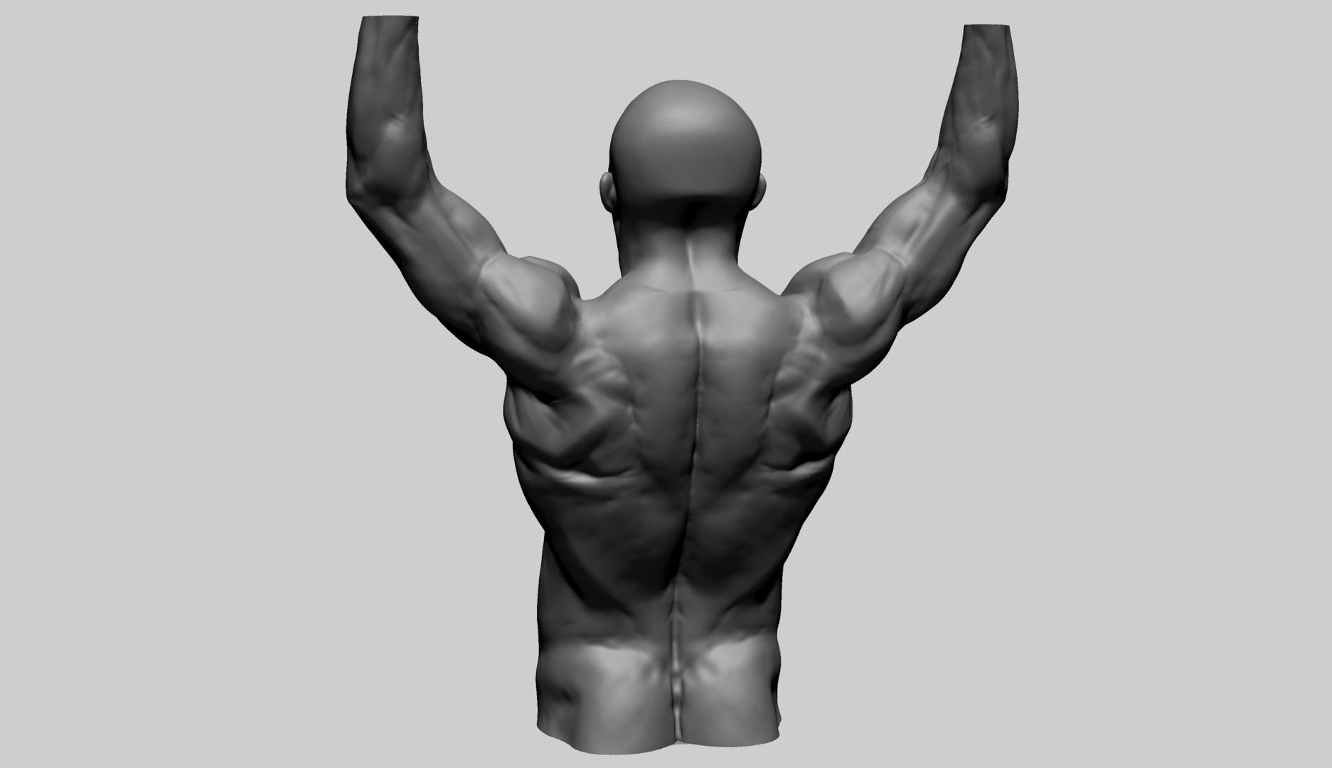 Male Upper Body Printable 3D Model - TurboSquid 2198902