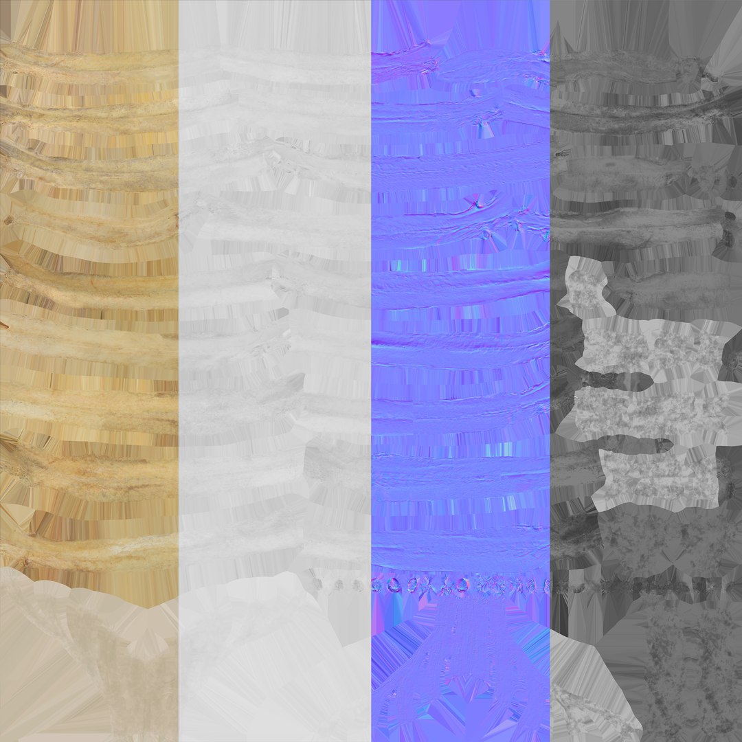 Human Rib Thoracic Cages White and Yellow Collection 01 - 2 models 3D model - TurboSquid 1912718