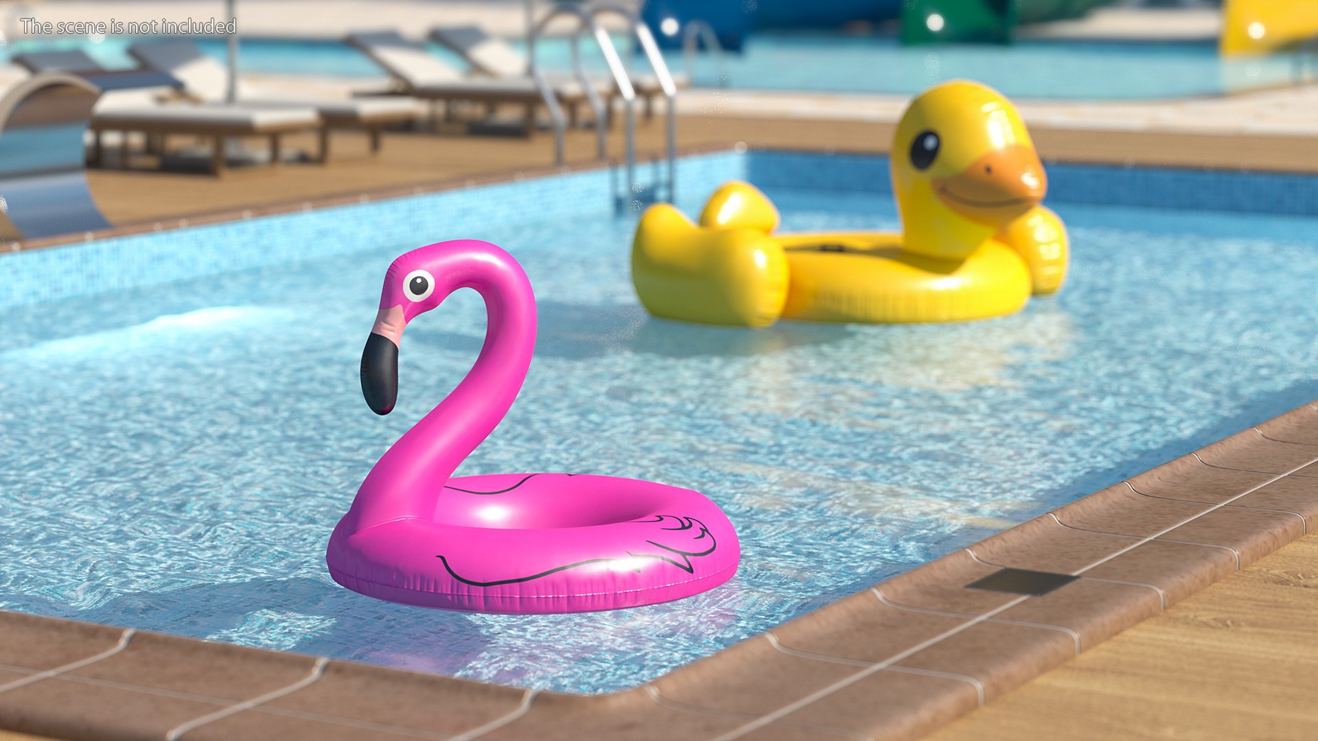 Swimming pool floats 2 3D model - TurboSquid 1676733