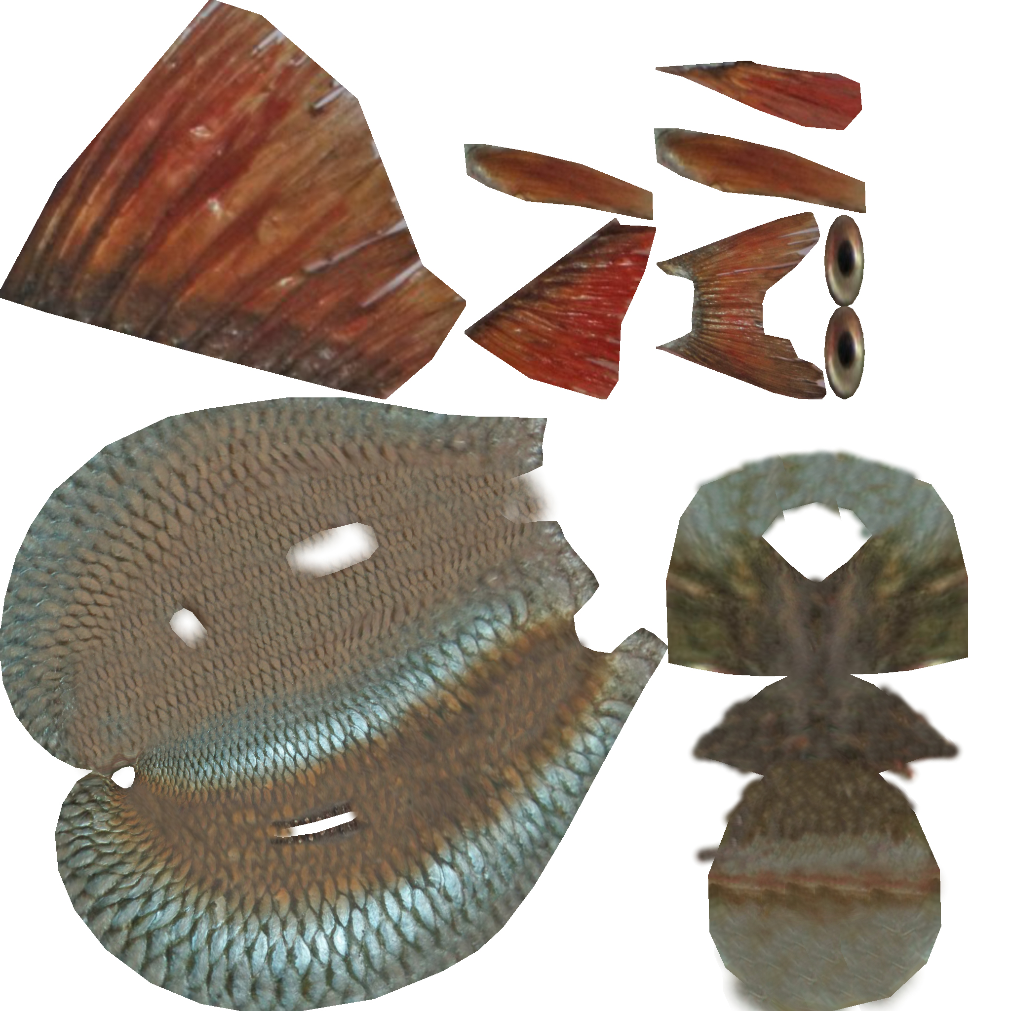 free obj model fish rudd