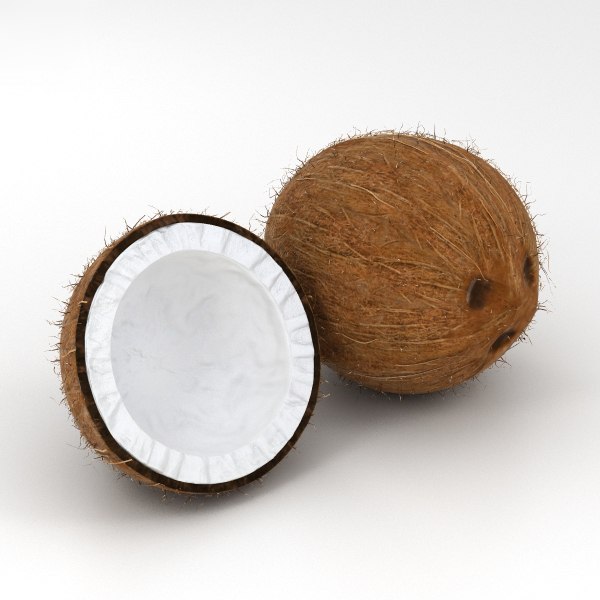 Coconut 3D Models for Download | TurboSquid