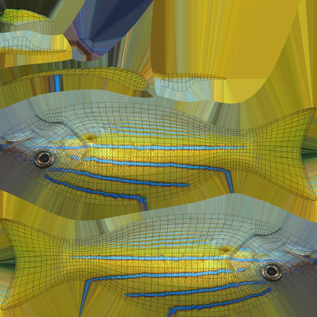 3D Bluestripe Snapper - TurboSquid 1445655