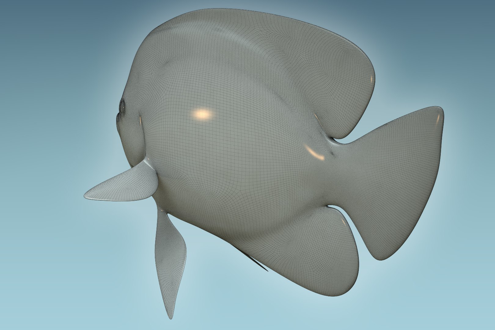 Angle Fish 15 3D Model - TurboSquid 1208436
