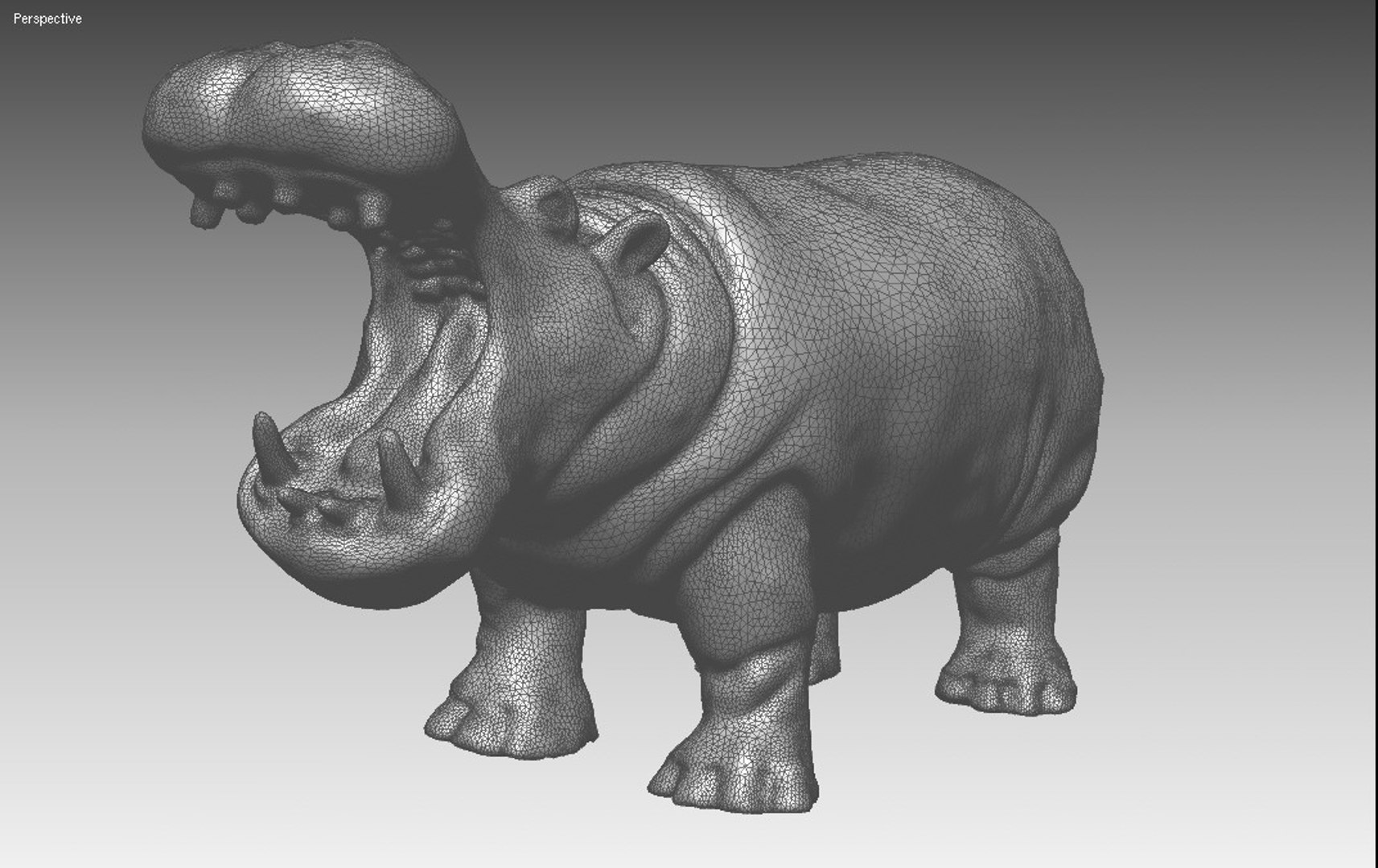 hippo max