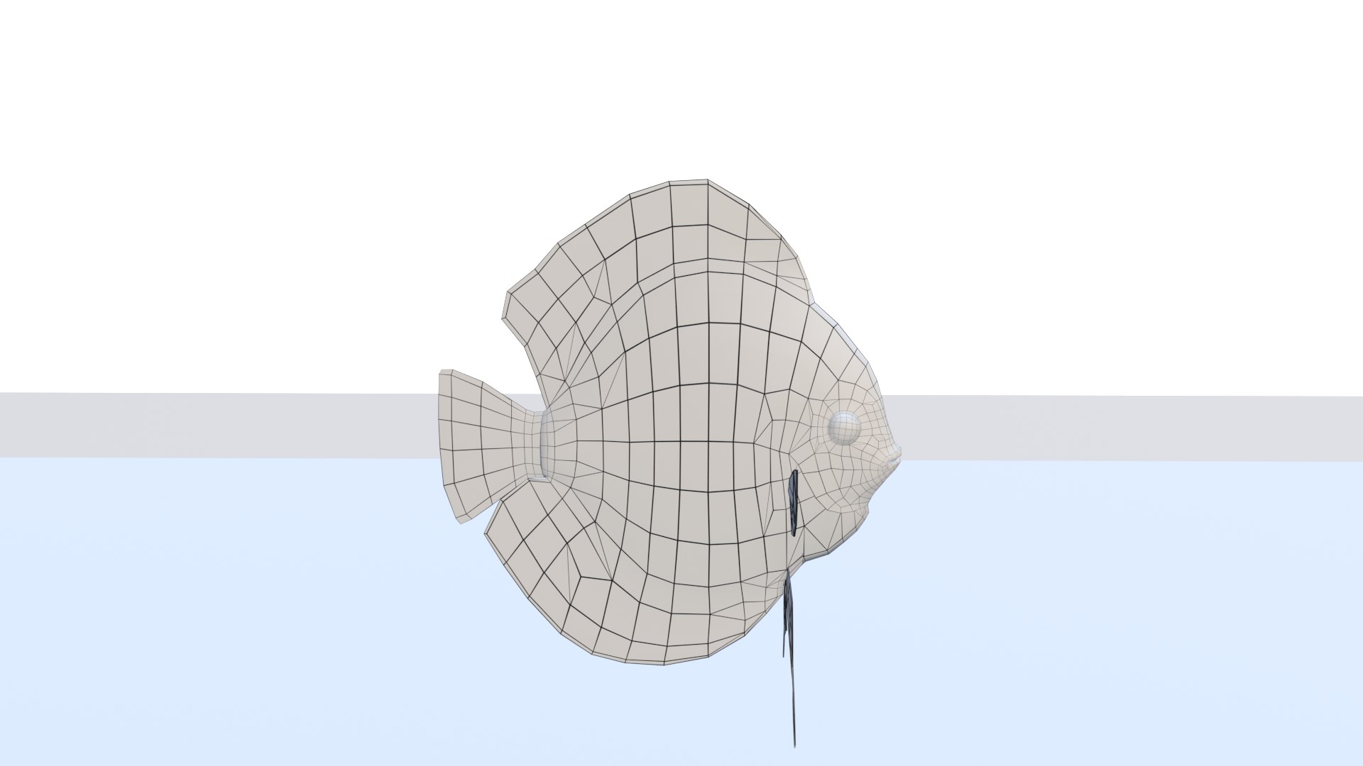 3D Blue Discus Animal 3D Model - TurboSquid 2311730