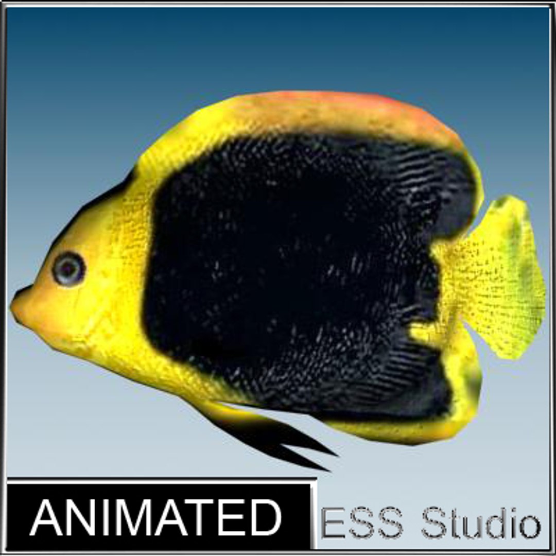 3d Model Tropical Fish