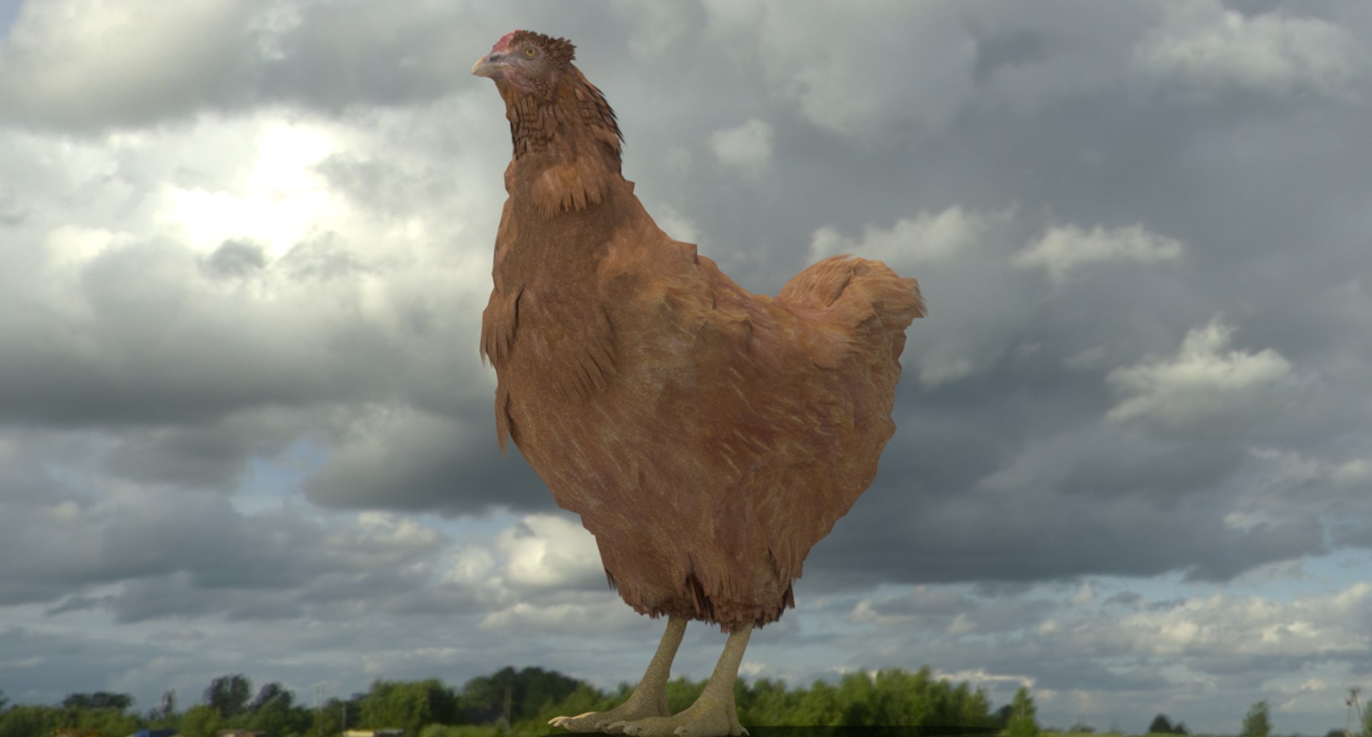 3D Chicken Chick Model - TurboSquid 1302609