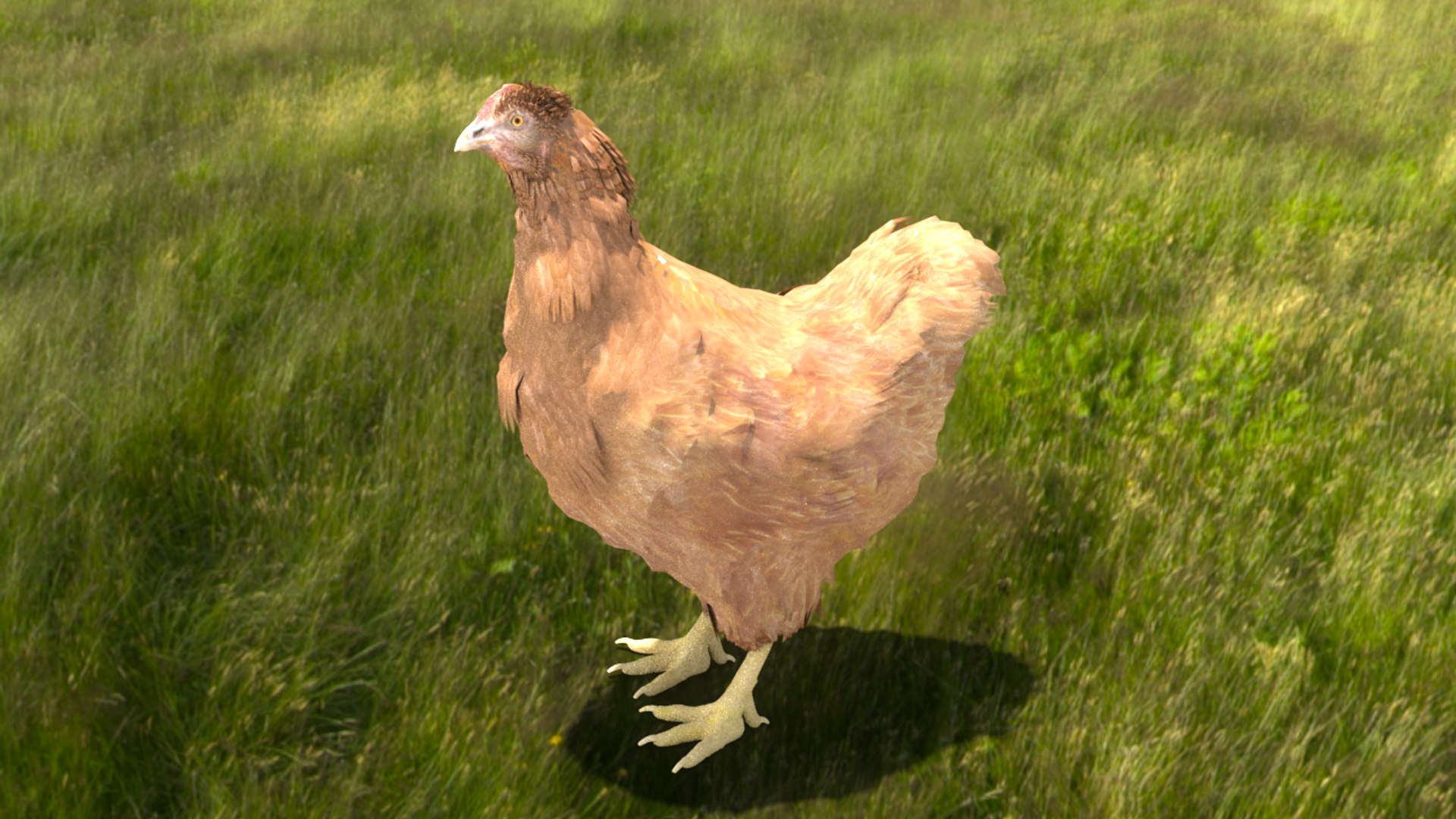 3D Chicken Chick Model - TurboSquid 1302609