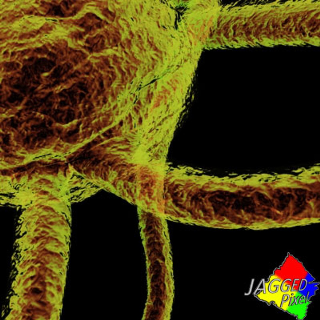 Helicobacter Pylori 3d Model