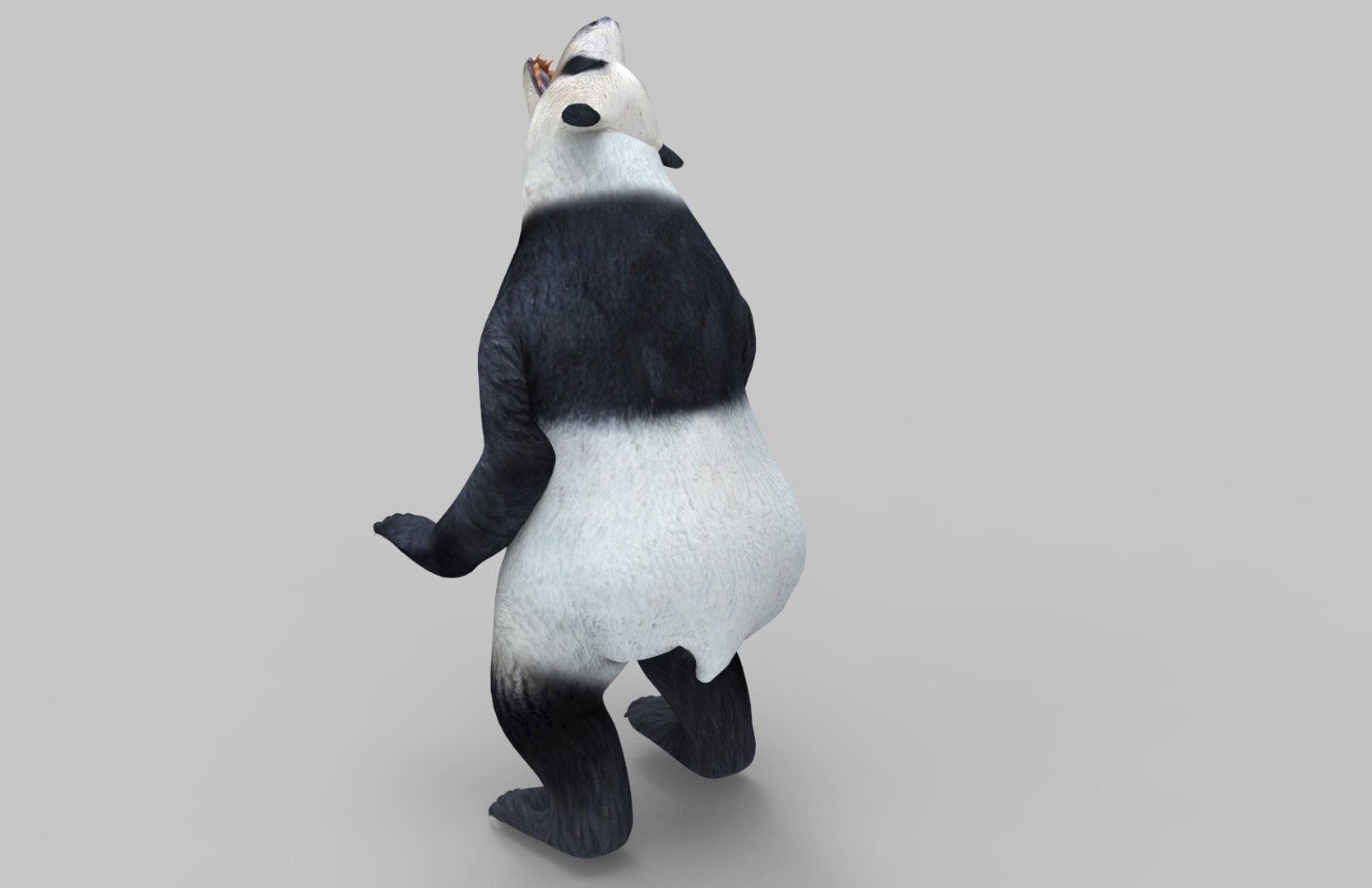 White Bear Panda Animation 3D Model - TurboSquid 1224664