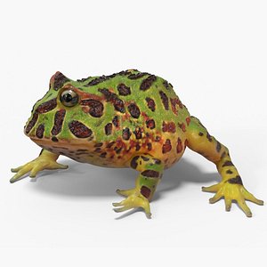 3D Toad Models - Browse & Download Formats - TurboSquid