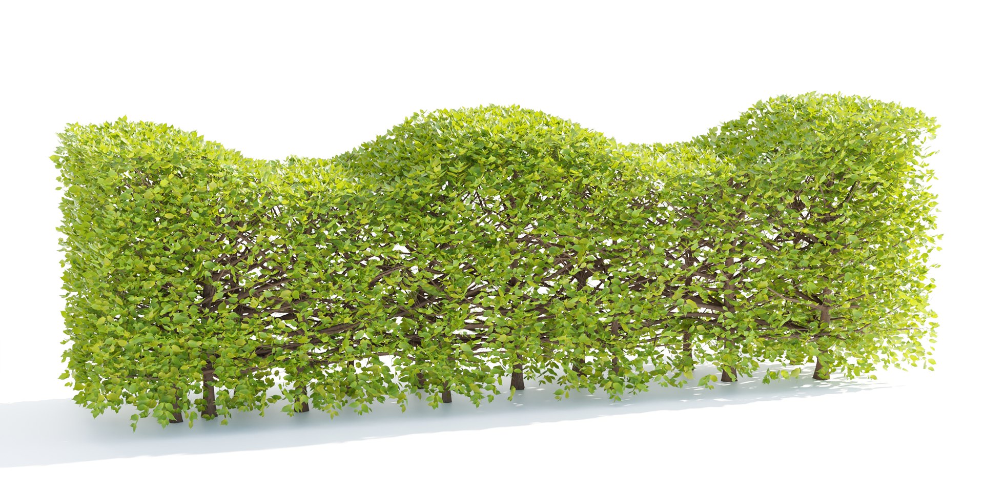 Bush Collection Vol 38-Blender 3D - TurboSquid 2112053