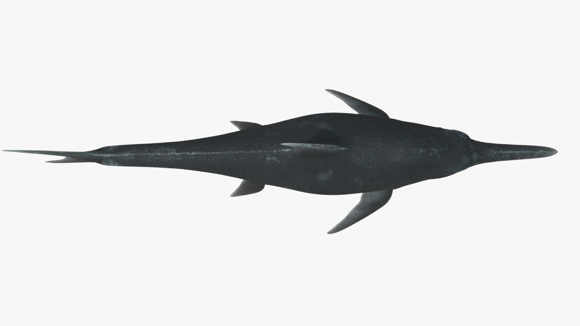3D 8K Realistic Ichthyosaurus - TurboSquid 2074364