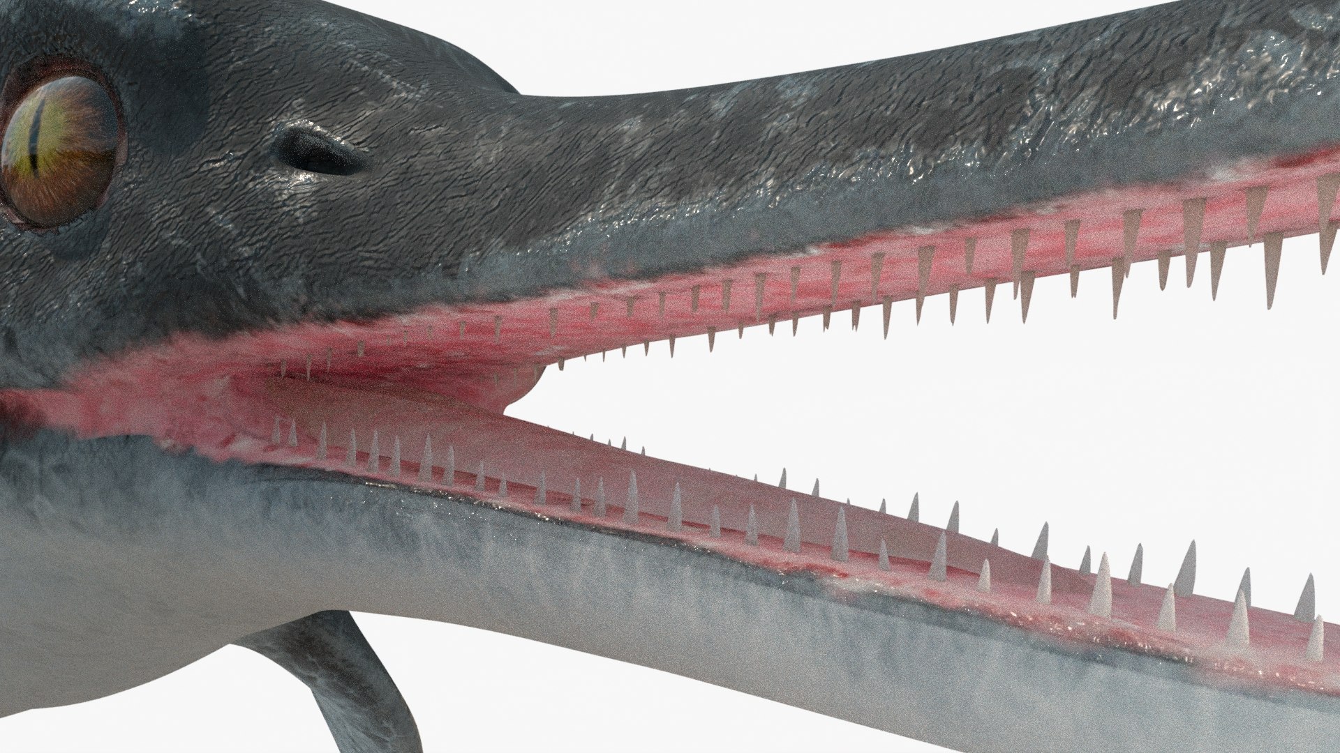 3D 8K Realistic Ichthyosaurus - TurboSquid 2074364