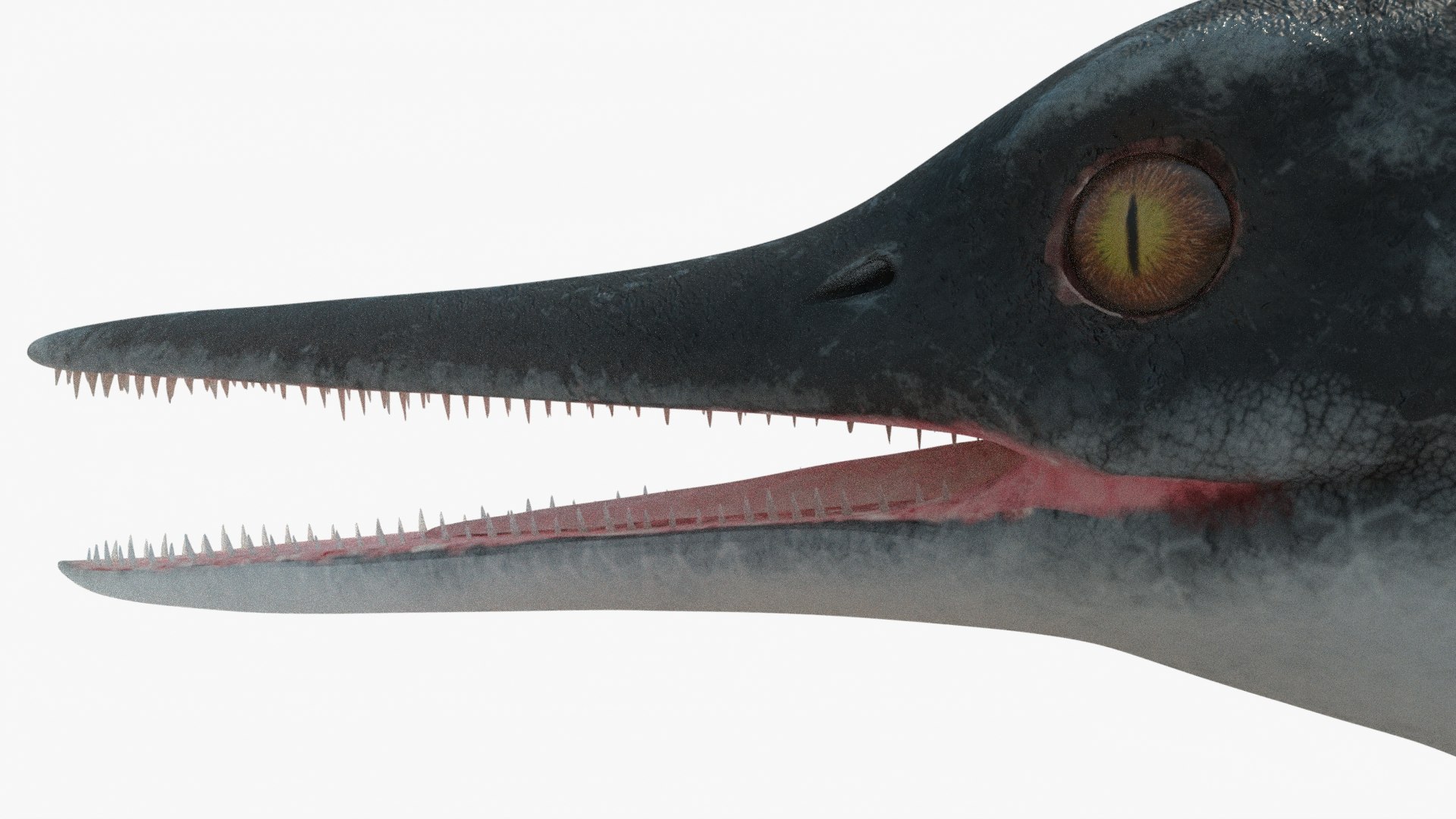 3D 8K Realistic Ichthyosaurus - TurboSquid 2074364