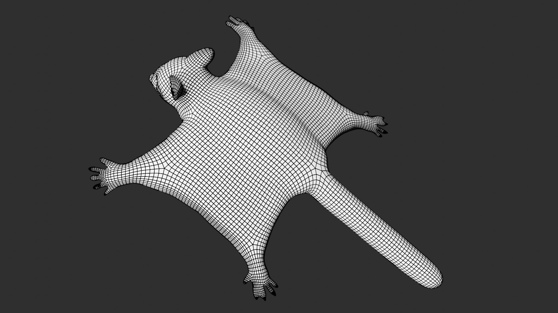 3D Model Realistic Fully Rigged Low Poly Sugar Glider - TurboSquid 1759833