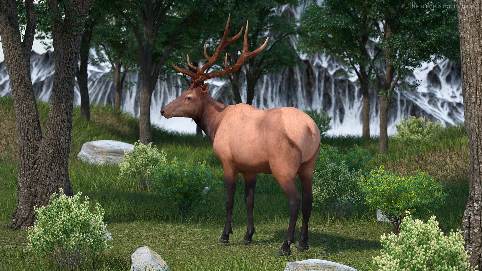 Elk Standing Pose 3D Model - TurboSquid 2262152