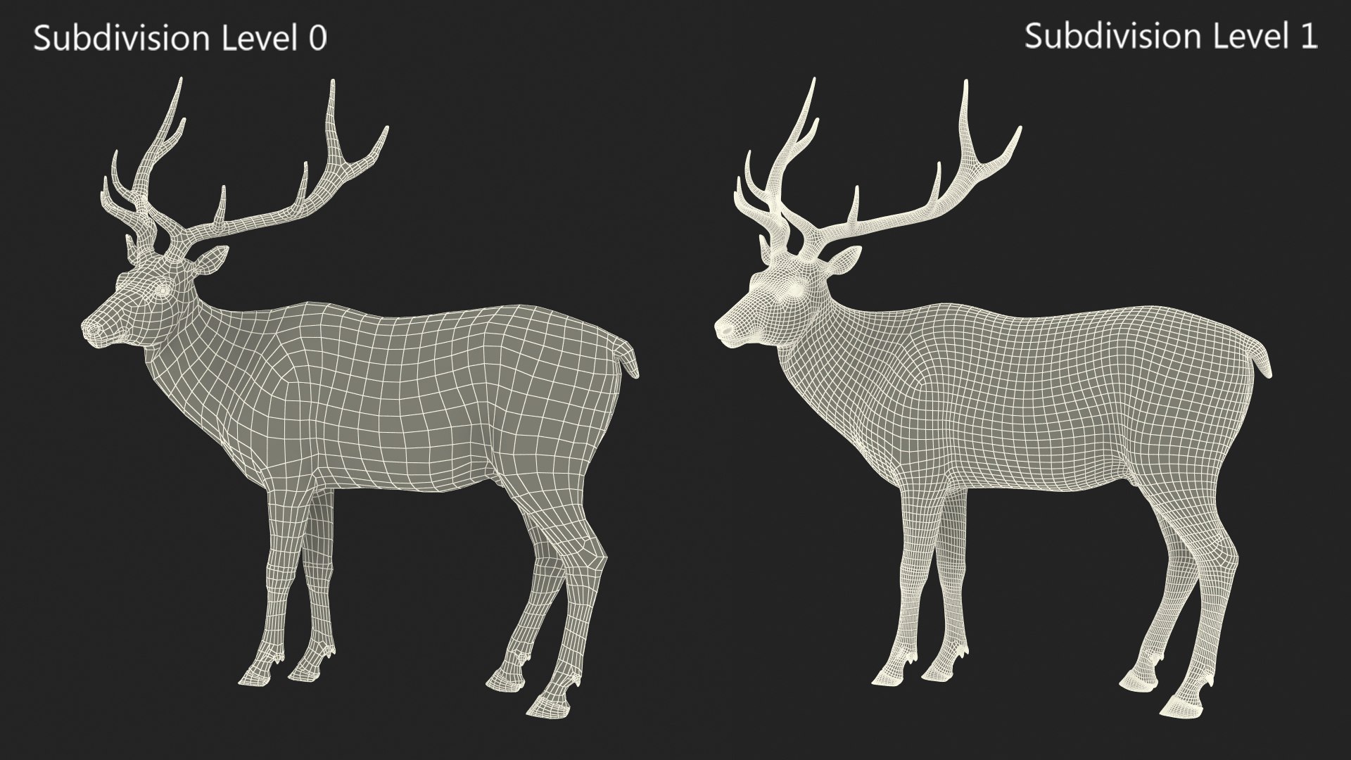 Elk Standing Pose 3D Model - TurboSquid 2262152