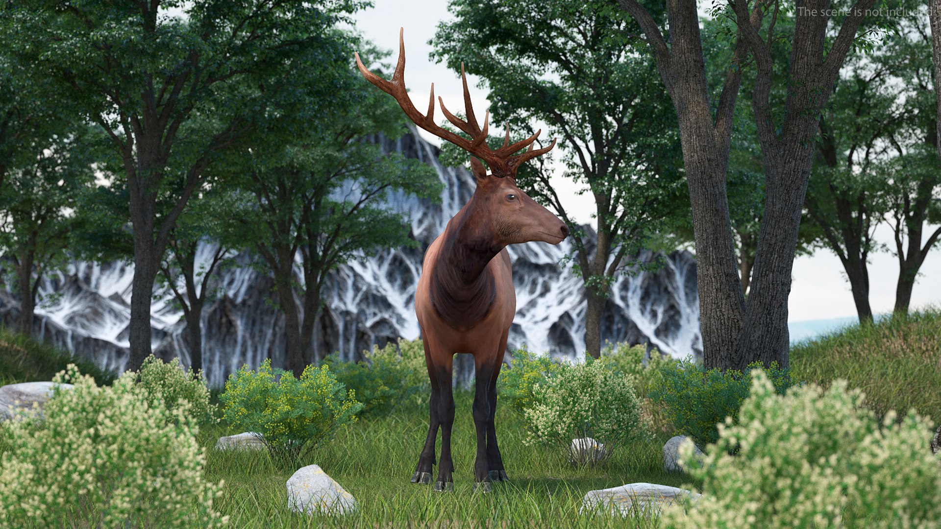 Elk Standing Pose 3D Model - TurboSquid 2262152