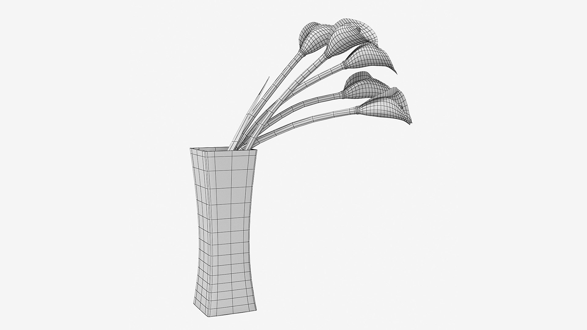 Calla Lily 06 3D Model - TurboSquid 1725698