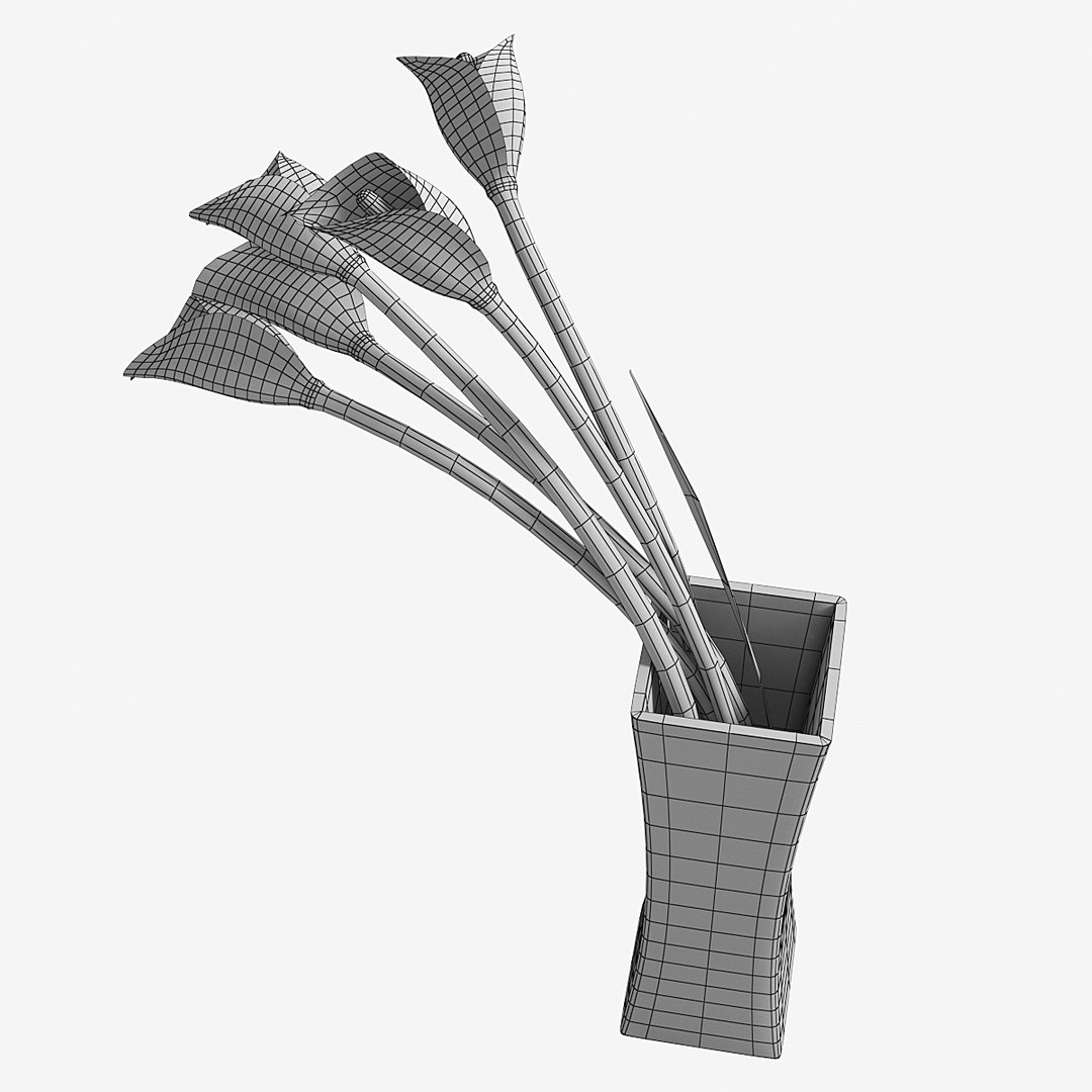 Calla Lily 06 3D Model - TurboSquid 1725698