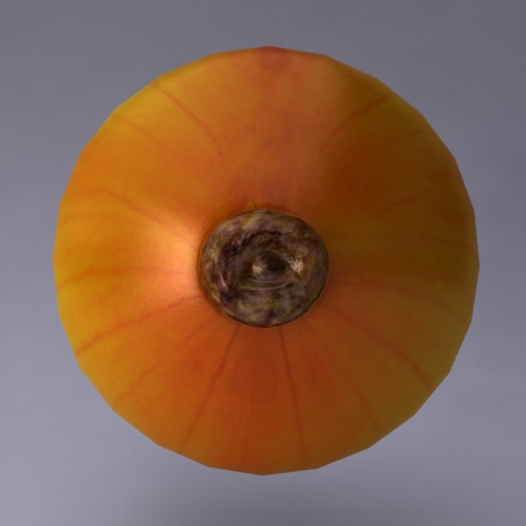 3d Model Onion