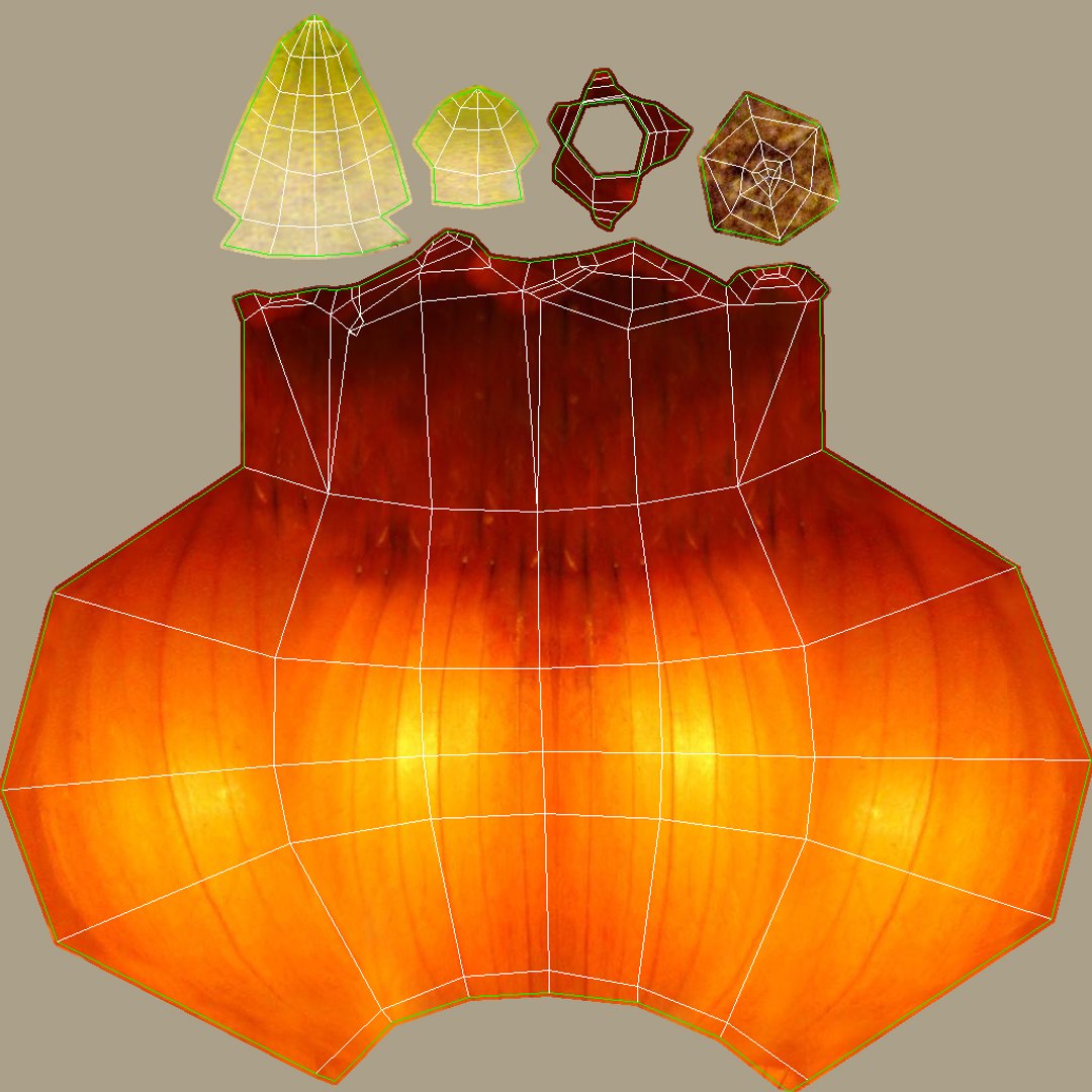 3d Model Onion
