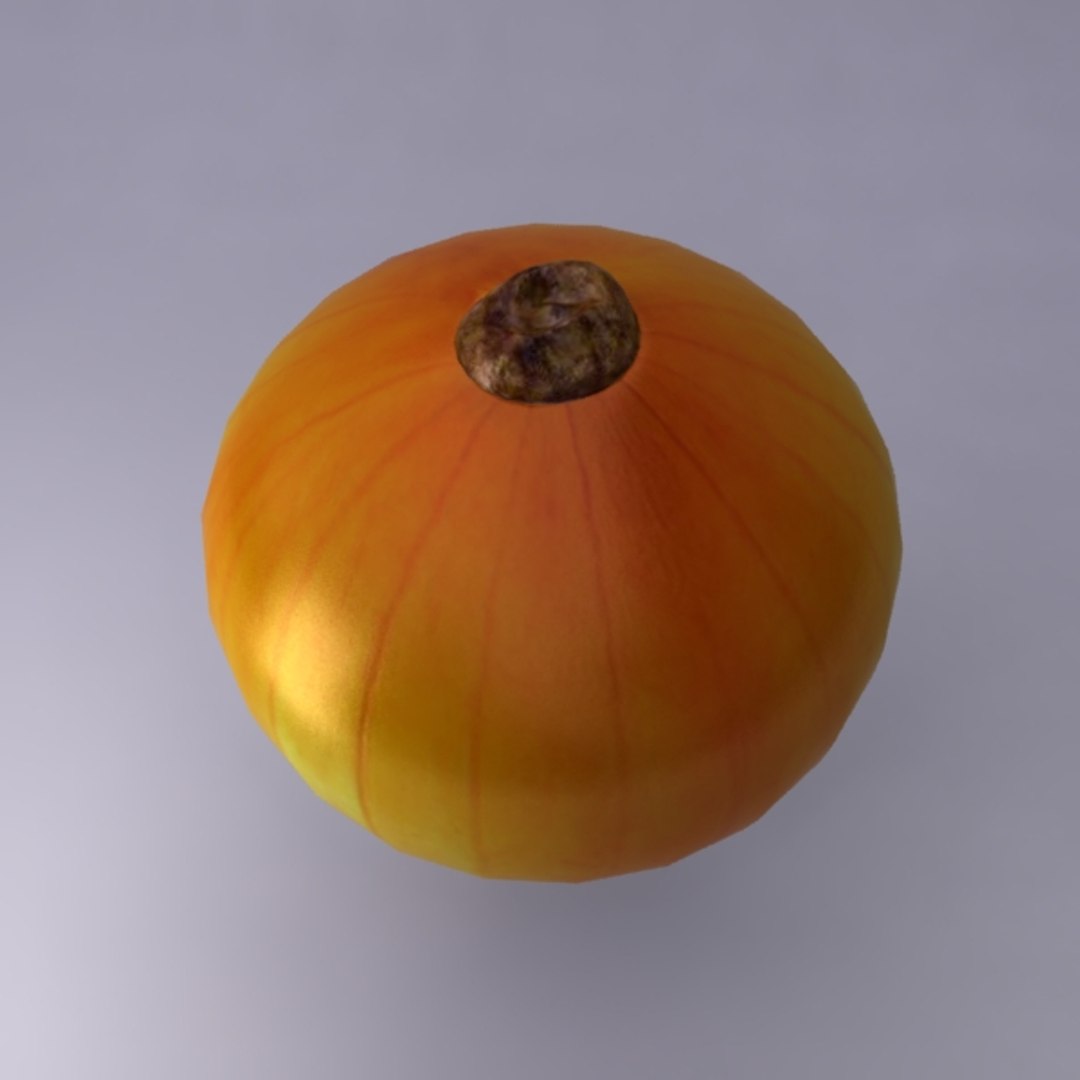 3d Model Onion