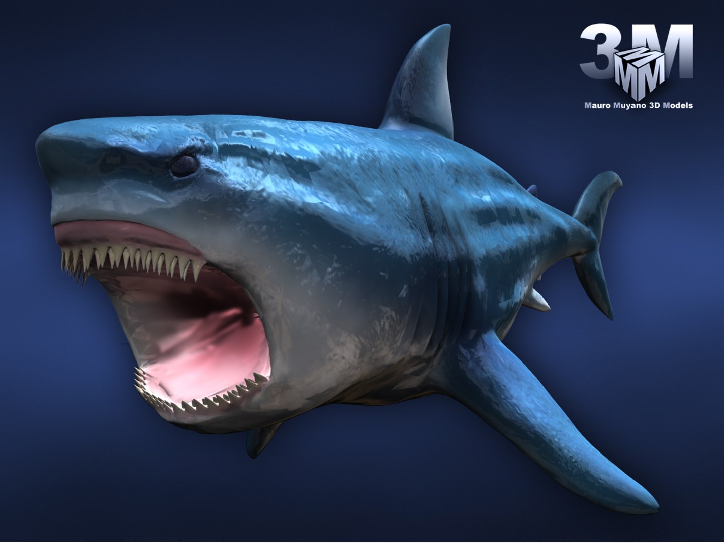 3d Model Shark