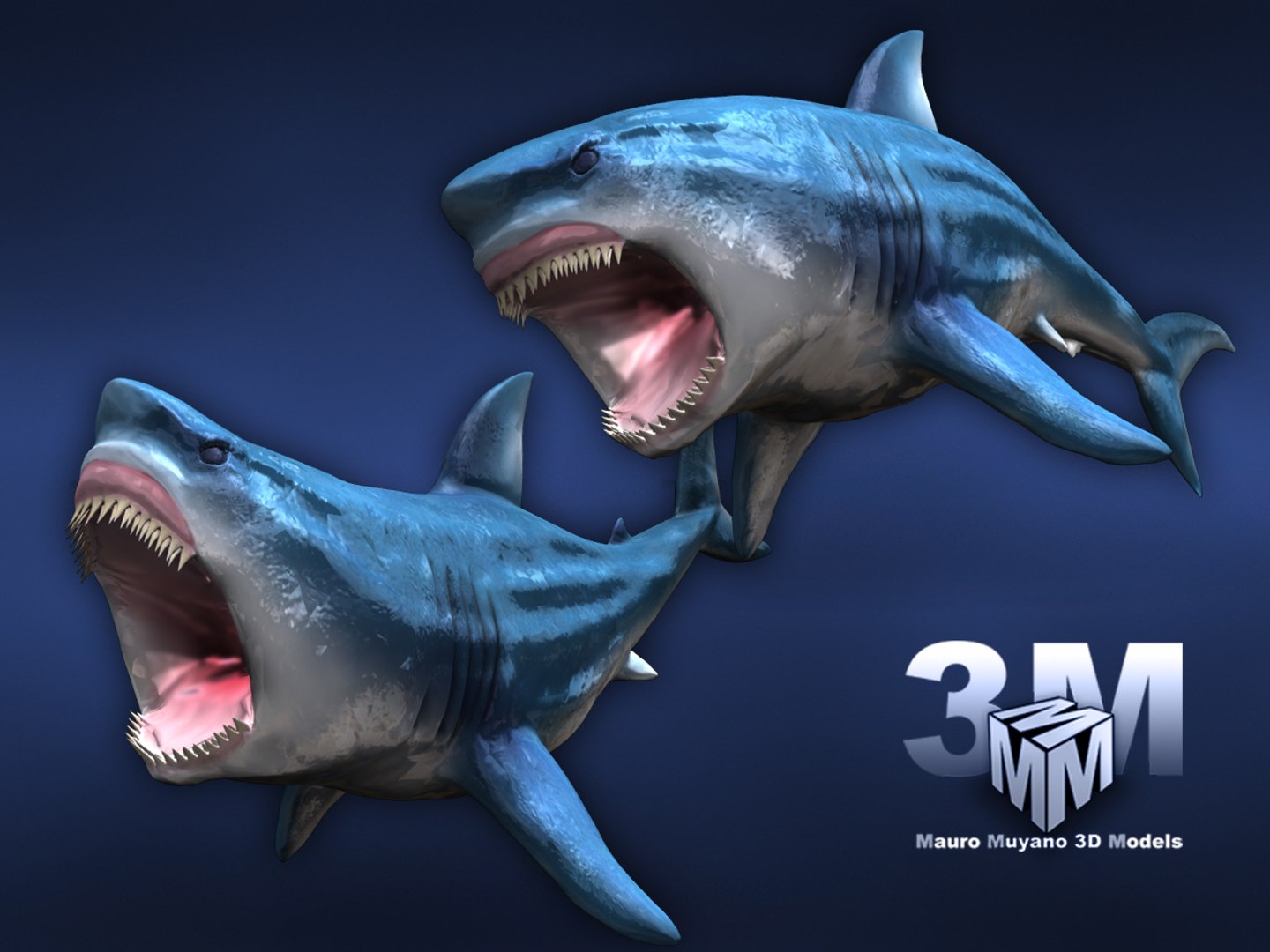 3d Model Shark