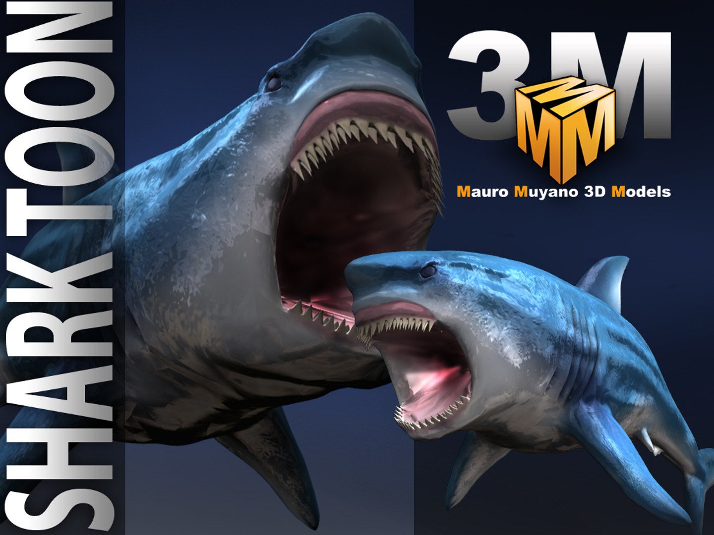 3d Model Shark