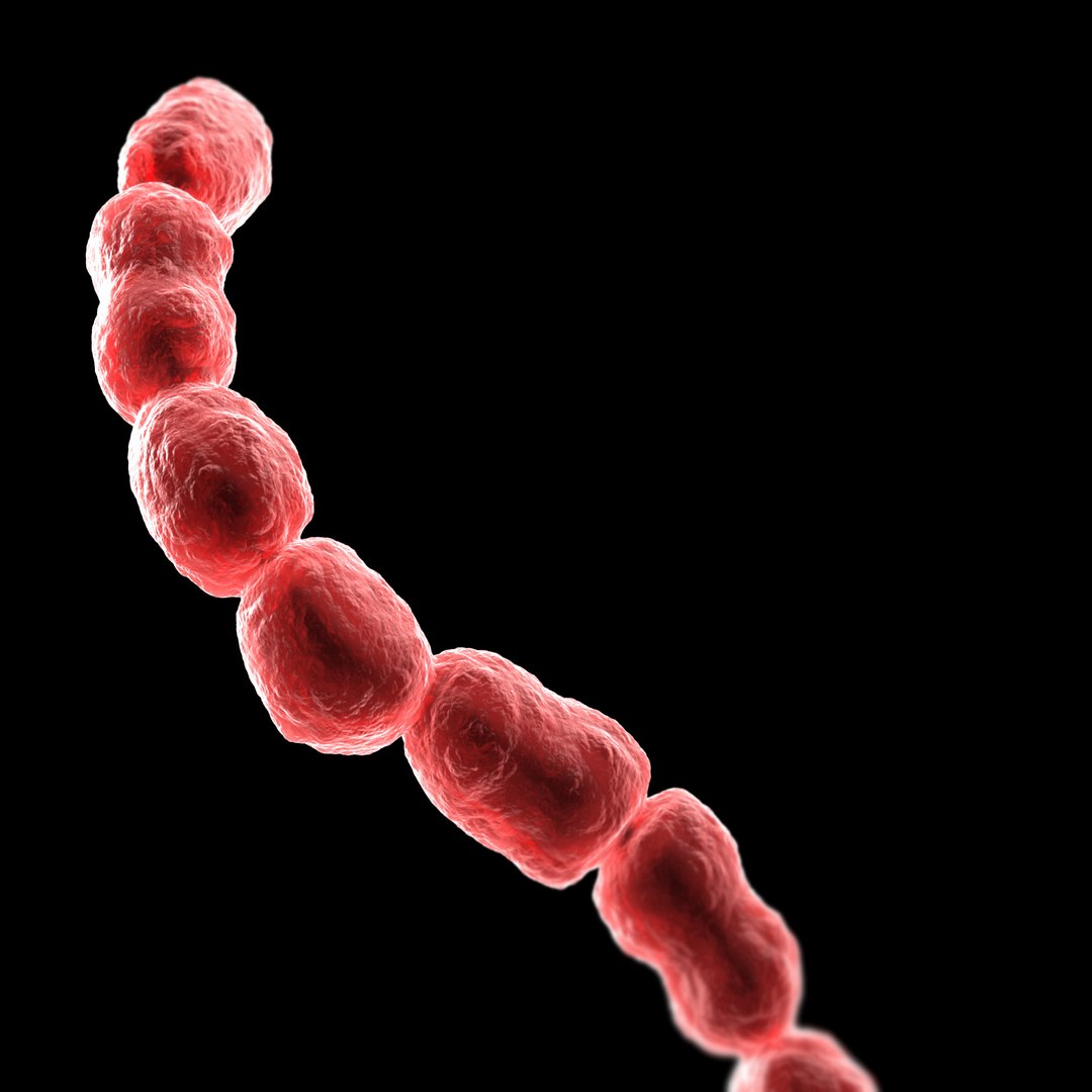 Microbes Bacteria Cells 3D - TurboSquid 1626124