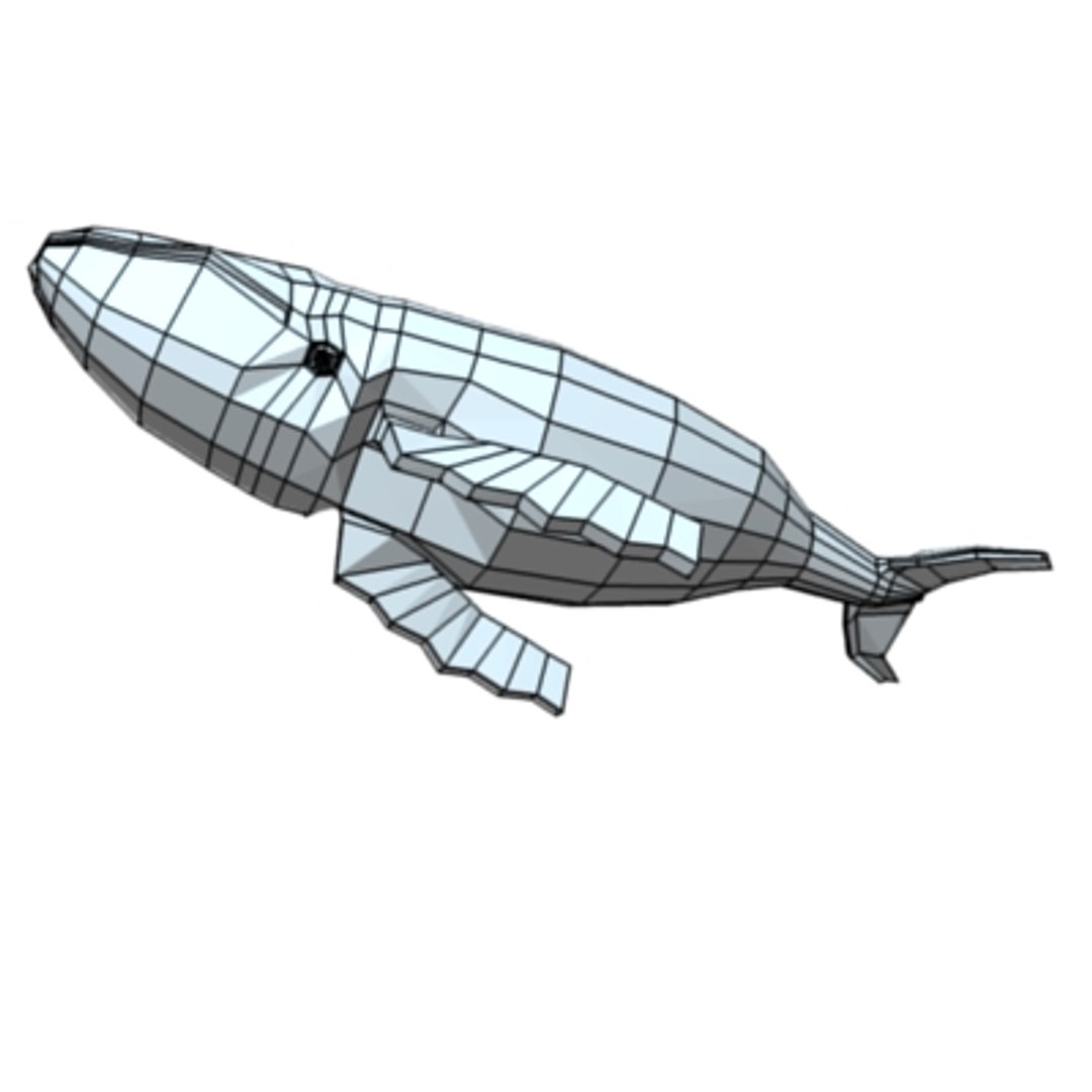 3d Sea Animals Whales Orca Model