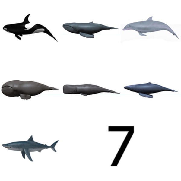 3d sea animals whales orca model
