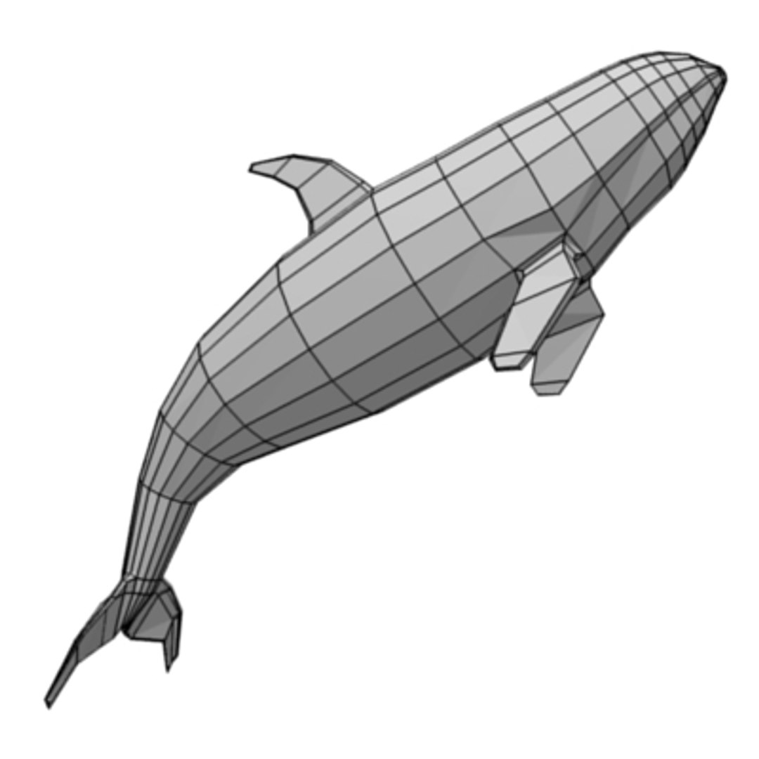 3d Sea Animals Whales Orca Model