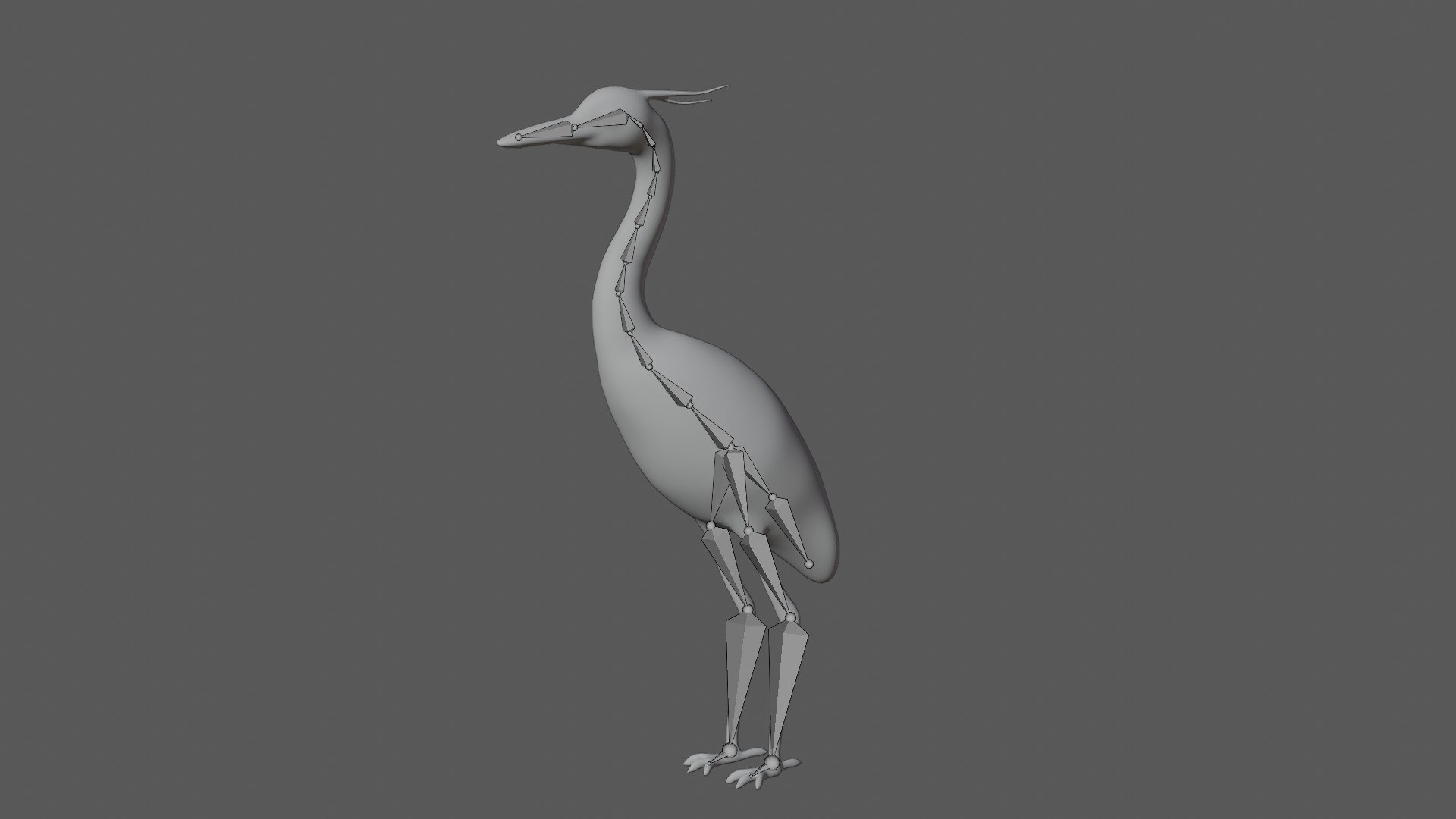 Crane Bird 3D Model - TurboSquid 1745186