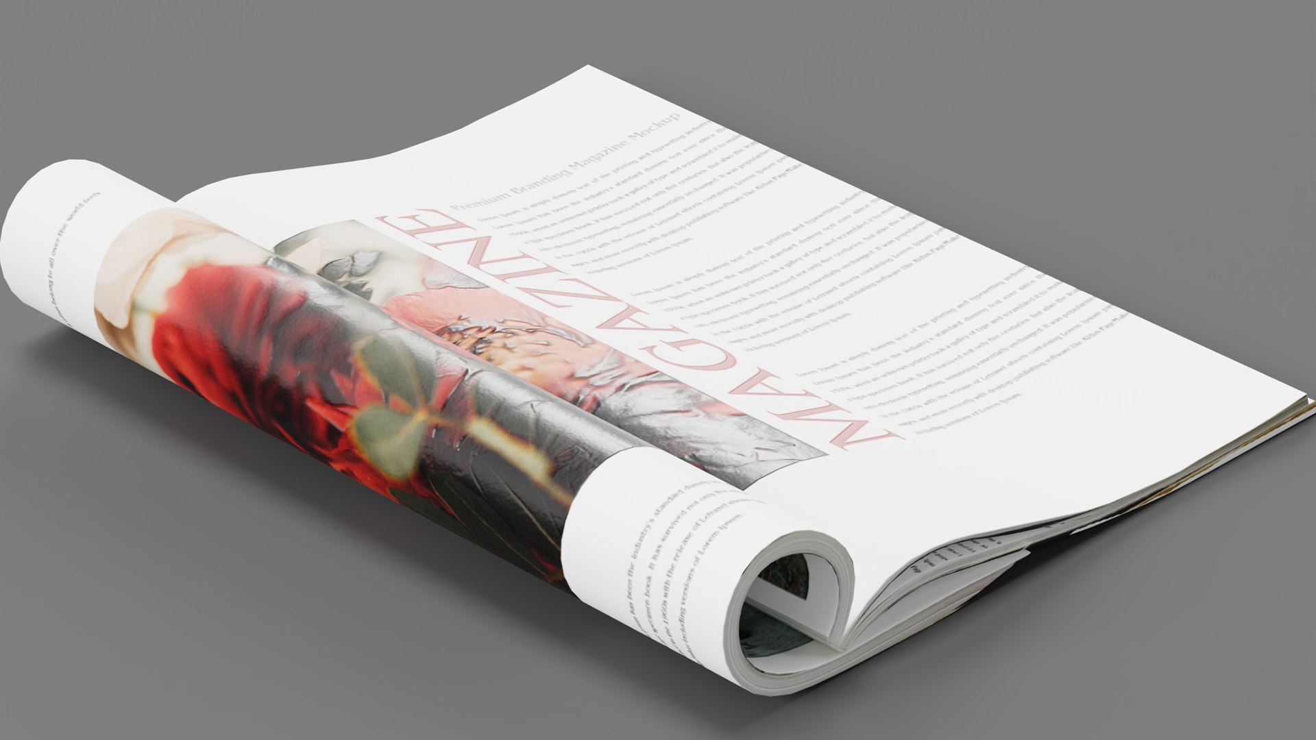 Modello 3D Modello 3D delle riviste - TurboSquid 2514674