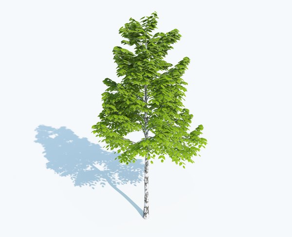 3d realistic tree