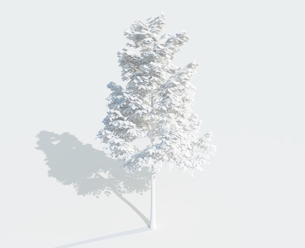 3d realistic tree