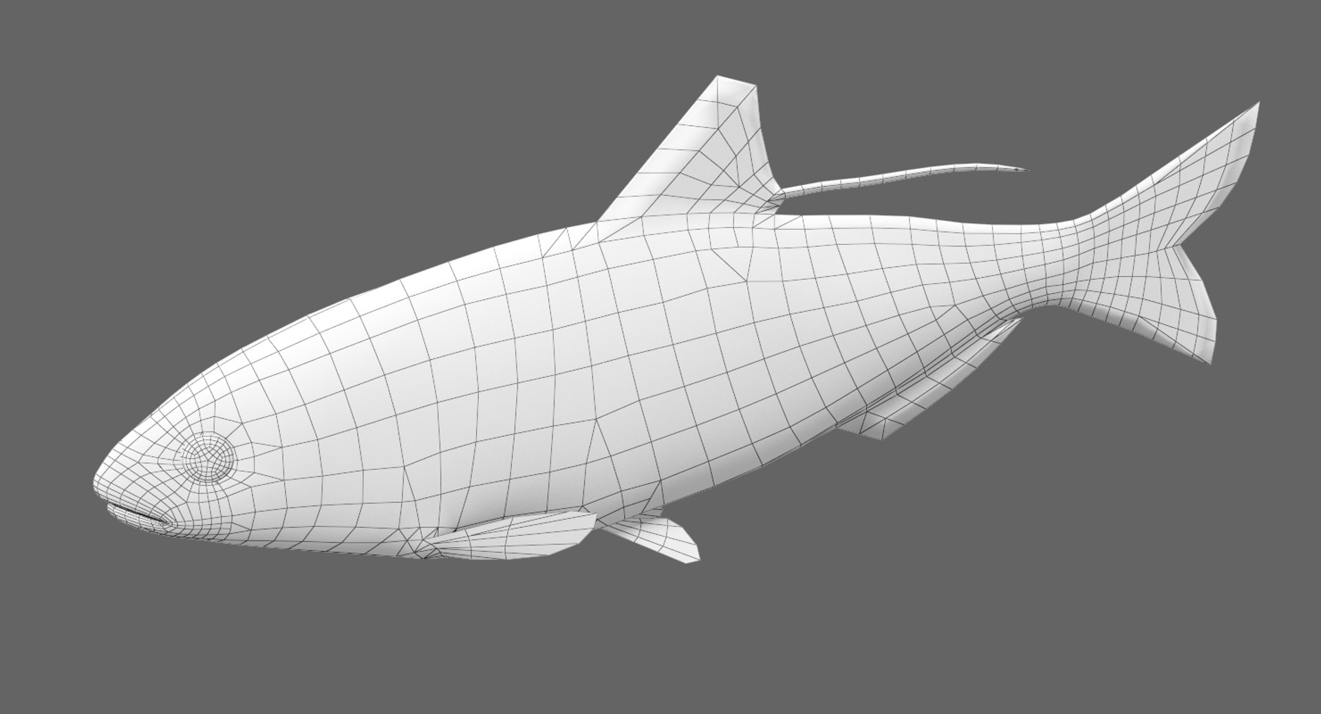 Gizzard Shad 3D Model - TurboSquid 1292253
