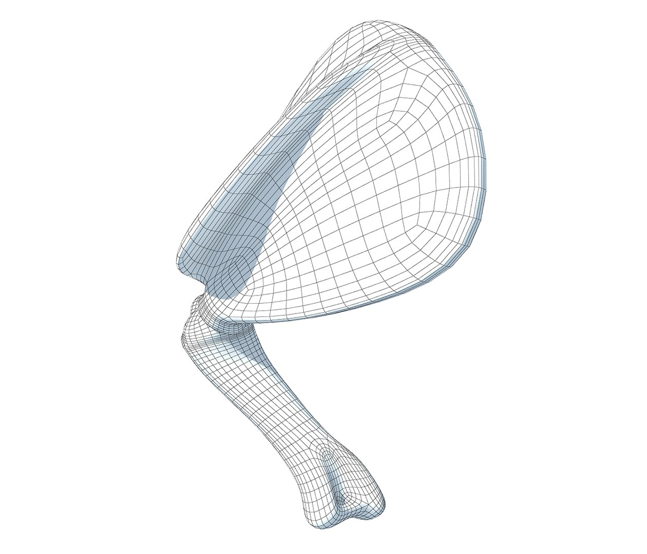 Animal Scapula Bone Model - TurboSquid 1177746
