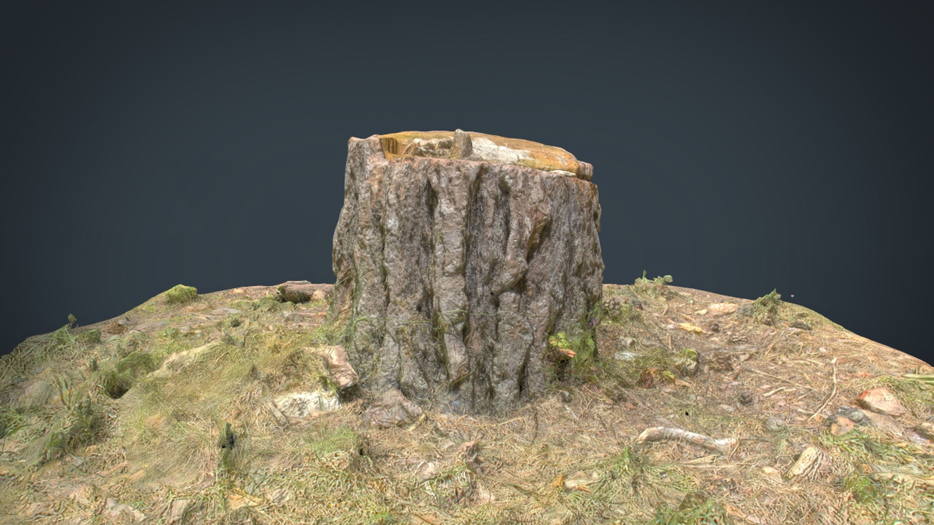3D realistic tree stump - TurboSquid 1161539