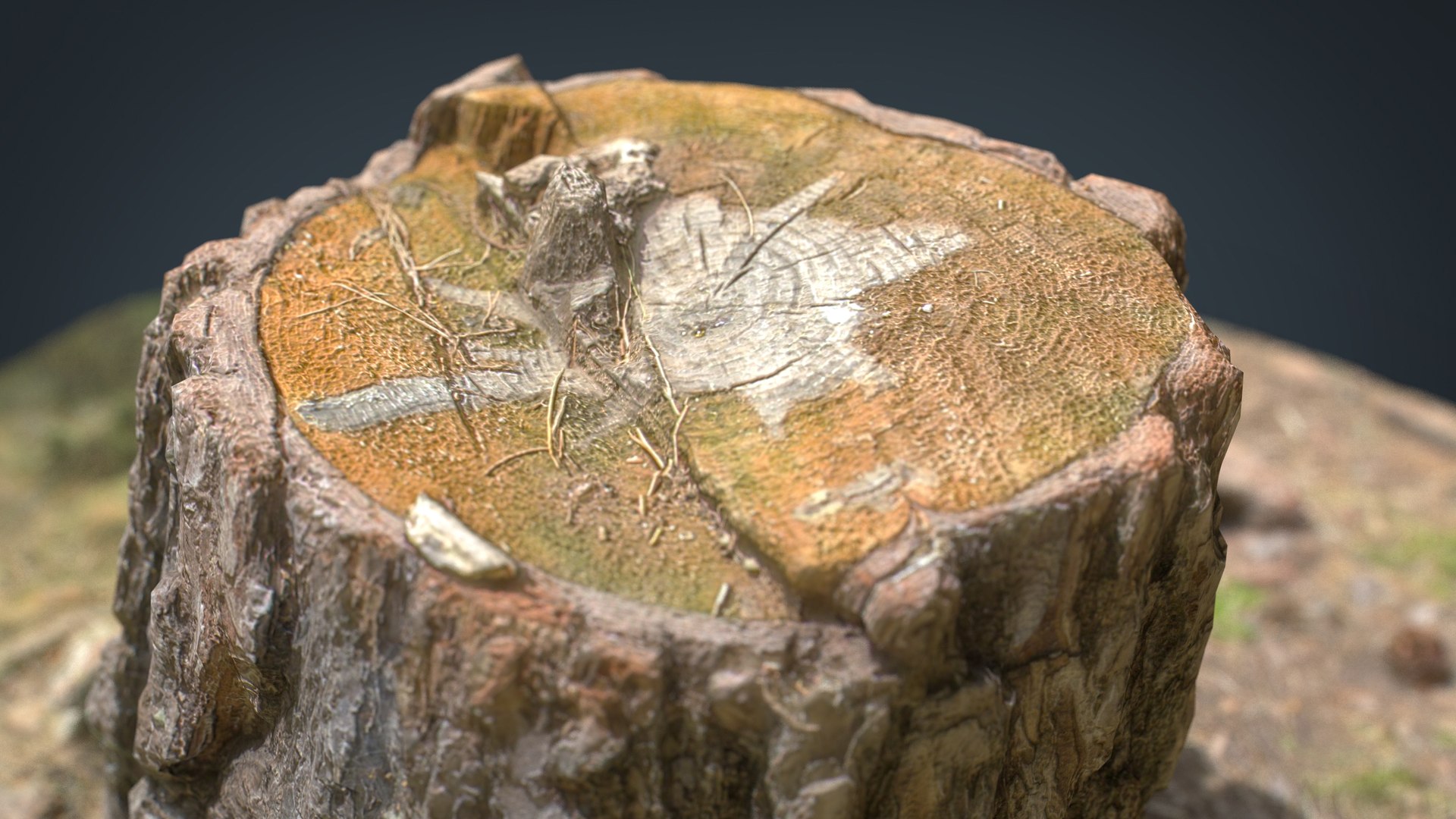 3D realistic tree stump - TurboSquid 1161539