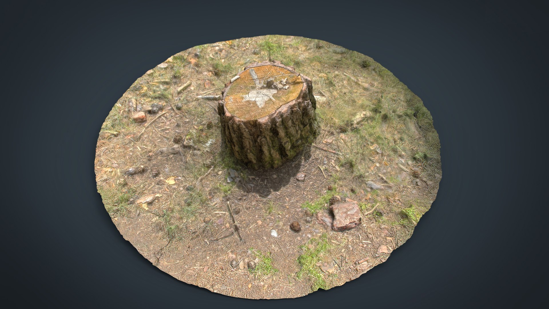 3D realistic tree stump - TurboSquid 1161539